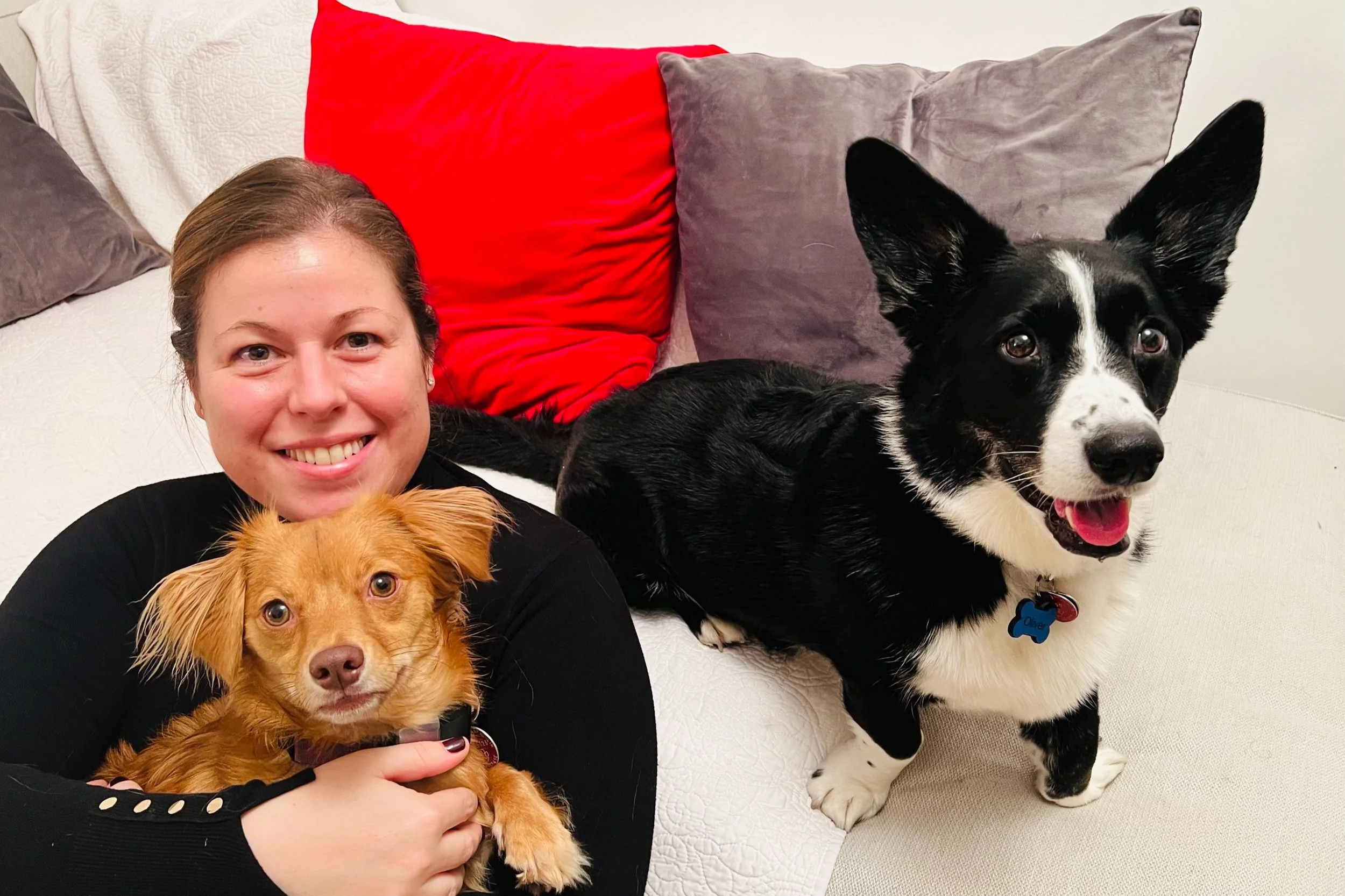 Meet the Team — Social Tees Animal Rescue