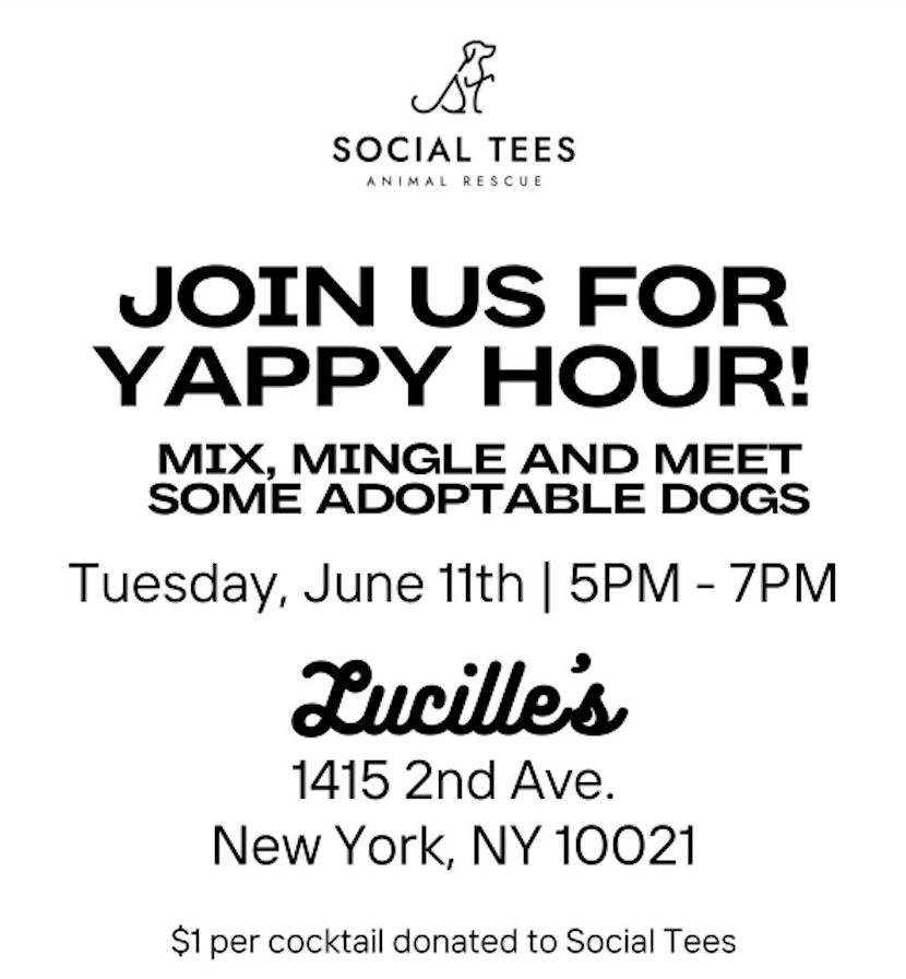 Events — Social Tees Animal Rescue