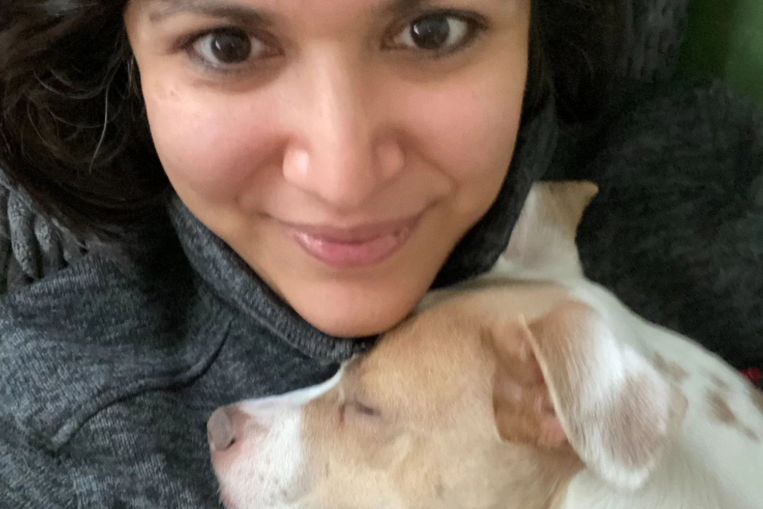 Meet the Team — Social Tees Animal Rescue