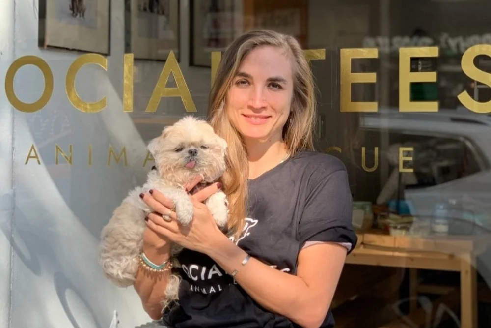 Meet the Team — Social Tees Animal Rescue
