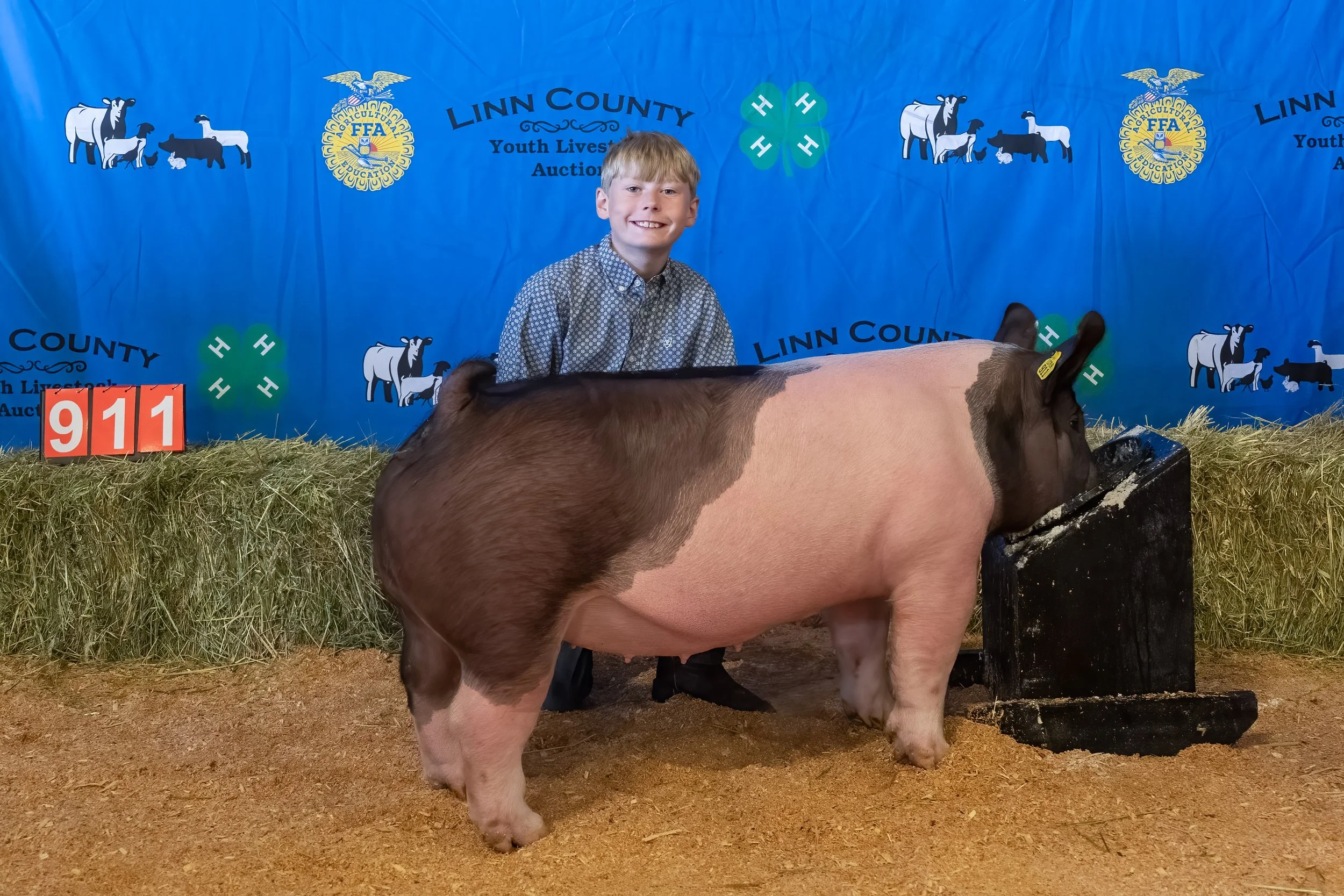 Swine — Linn County Youth Livestock Auction