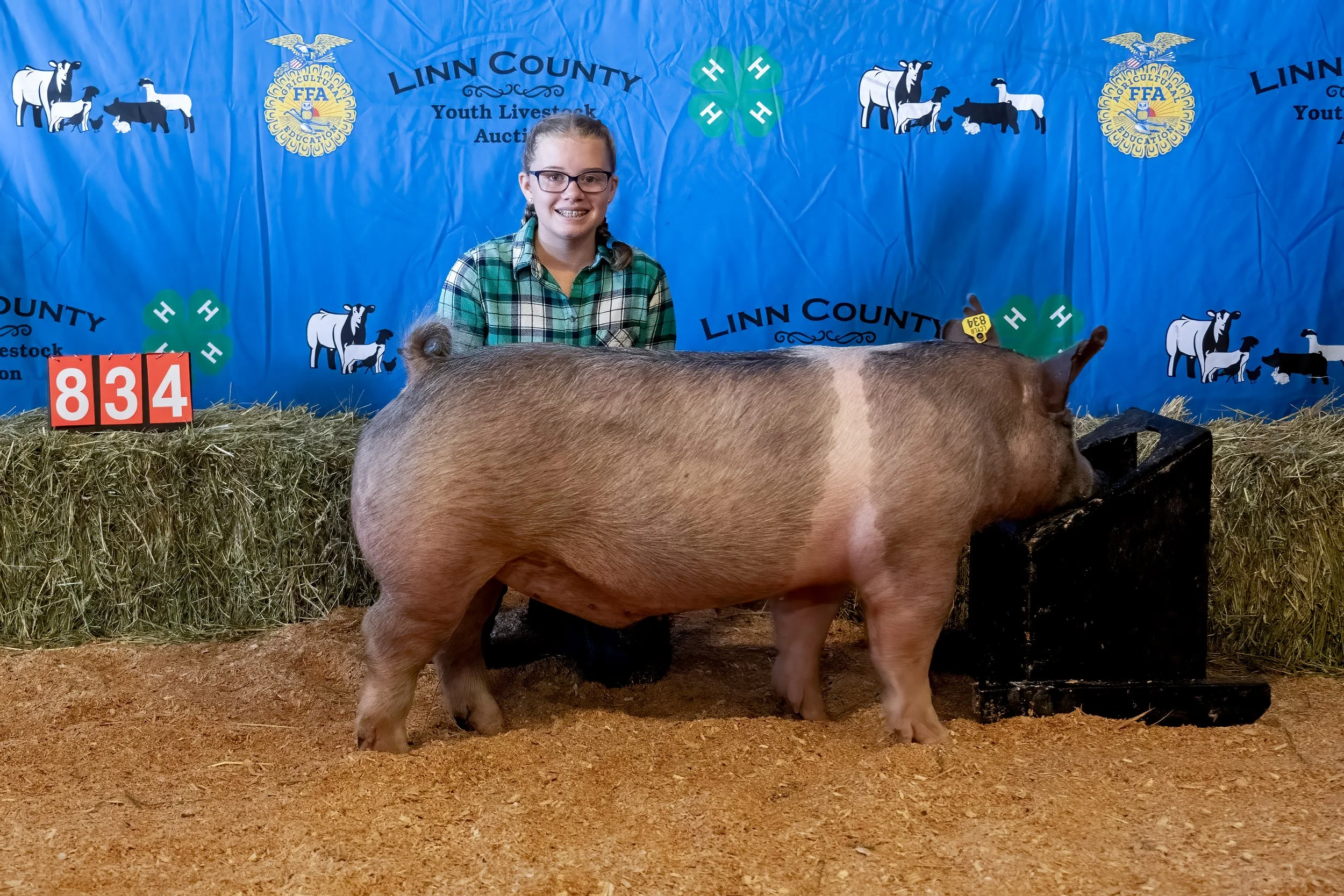 Swine — Linn County Youth Livestock Auction