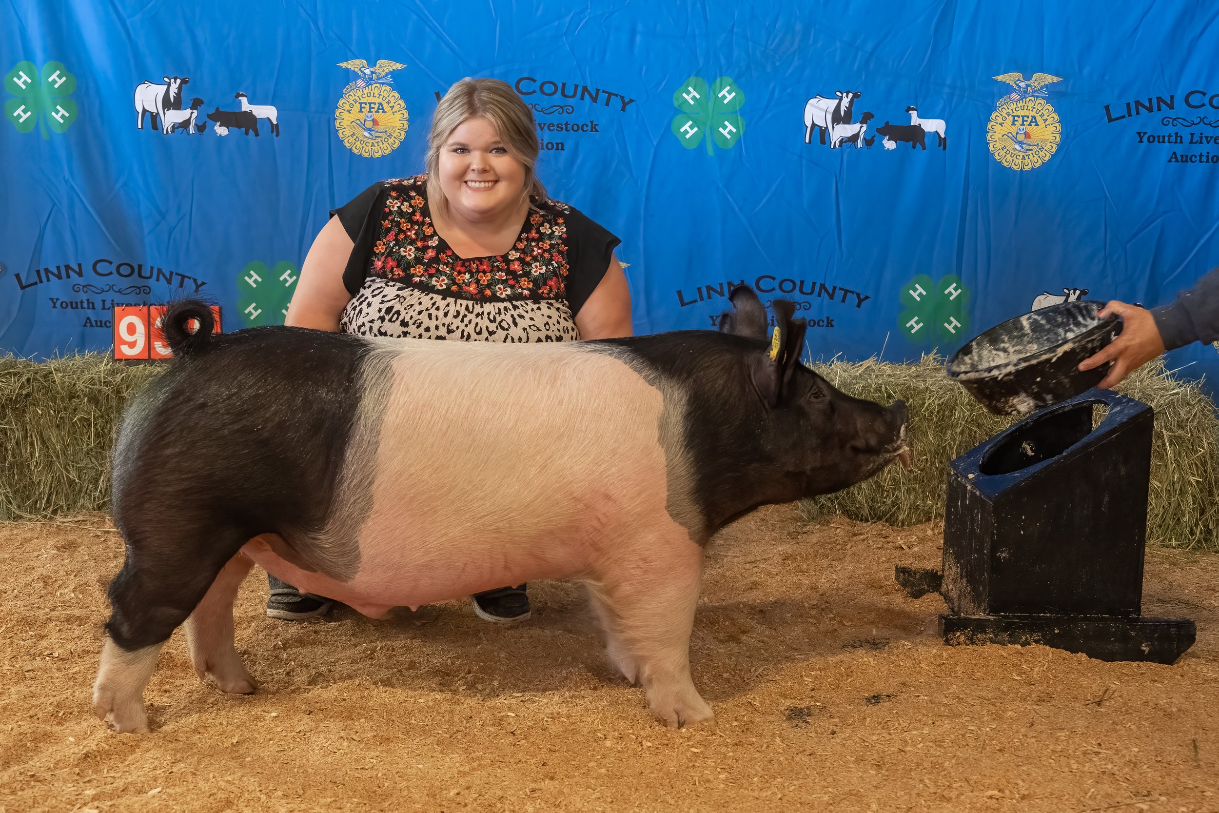 Swine — Linn County Youth Livestock Auction