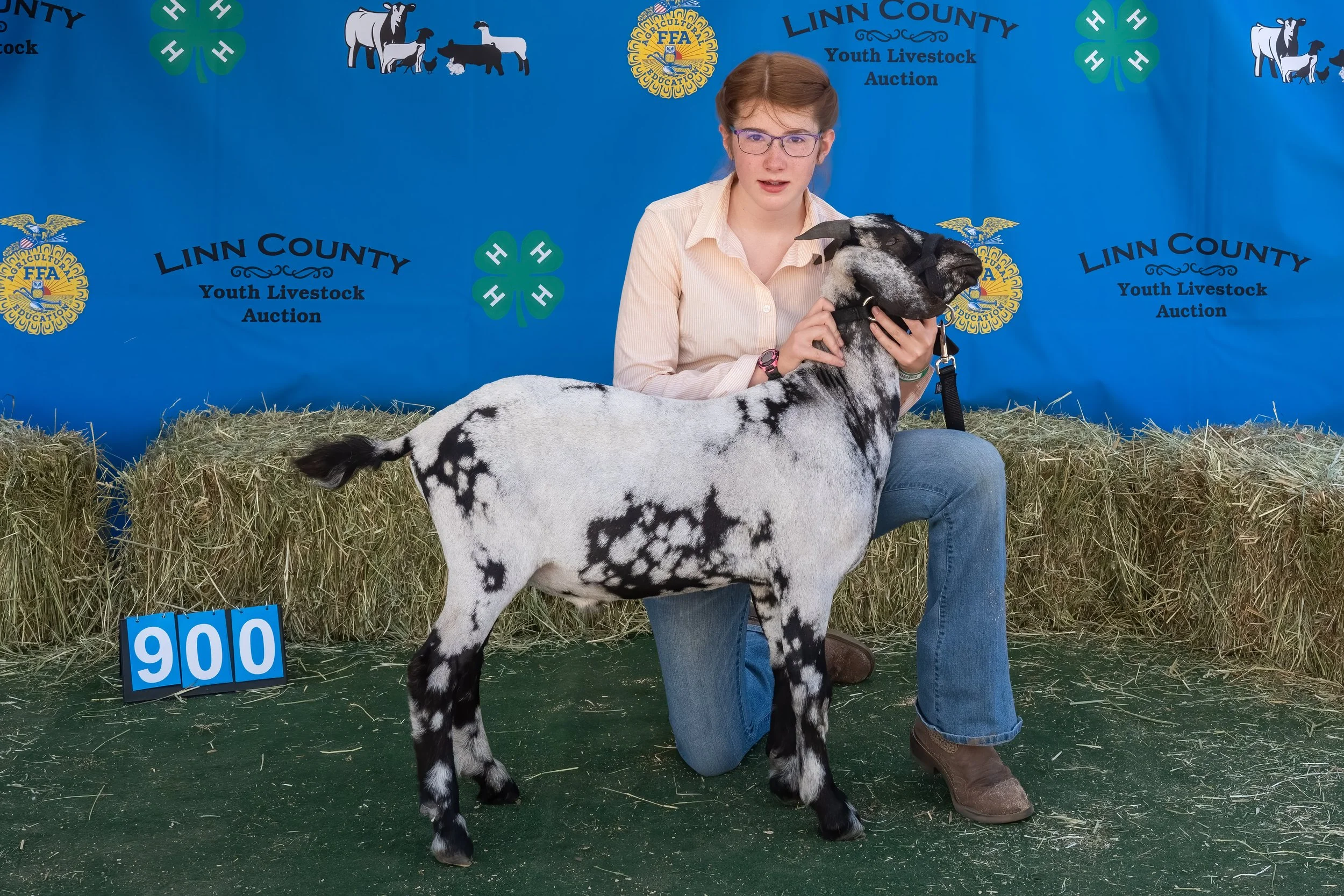 Goats — Linn County Youth Livestock Auction