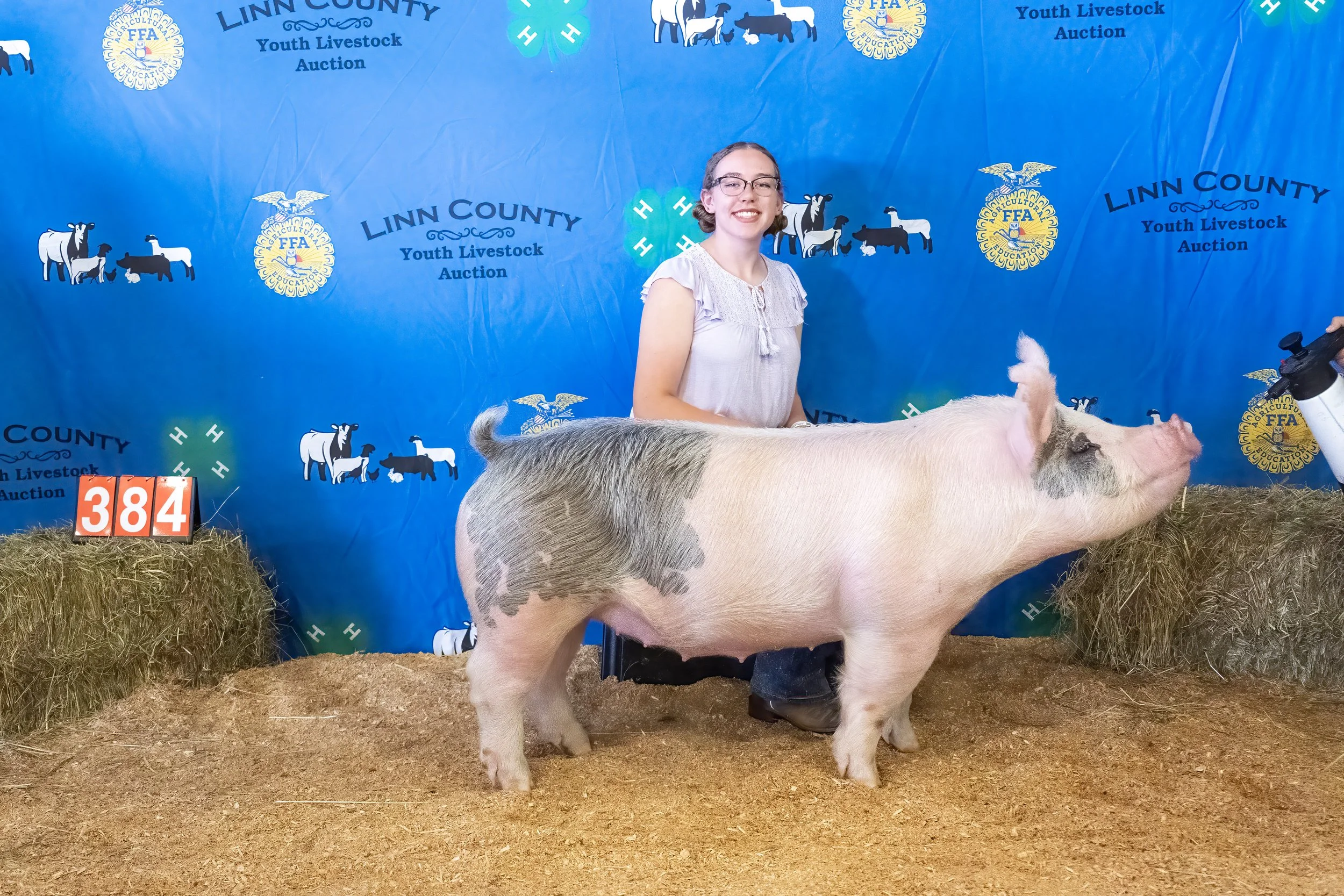Swine 2024 — Linn County Youth Livestock Auction