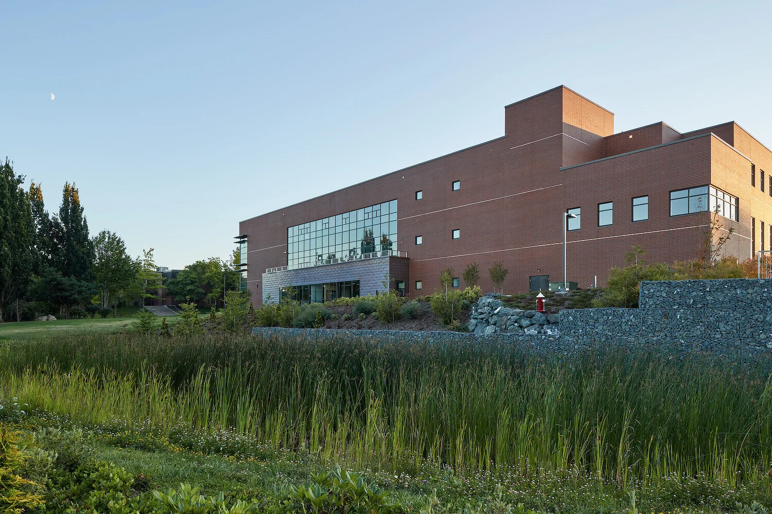 Starling Whitehead & Lux Architects _ WCC Learning Commons