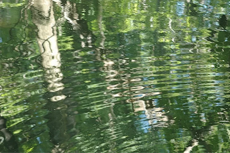 Teaneck Creek Conservancy