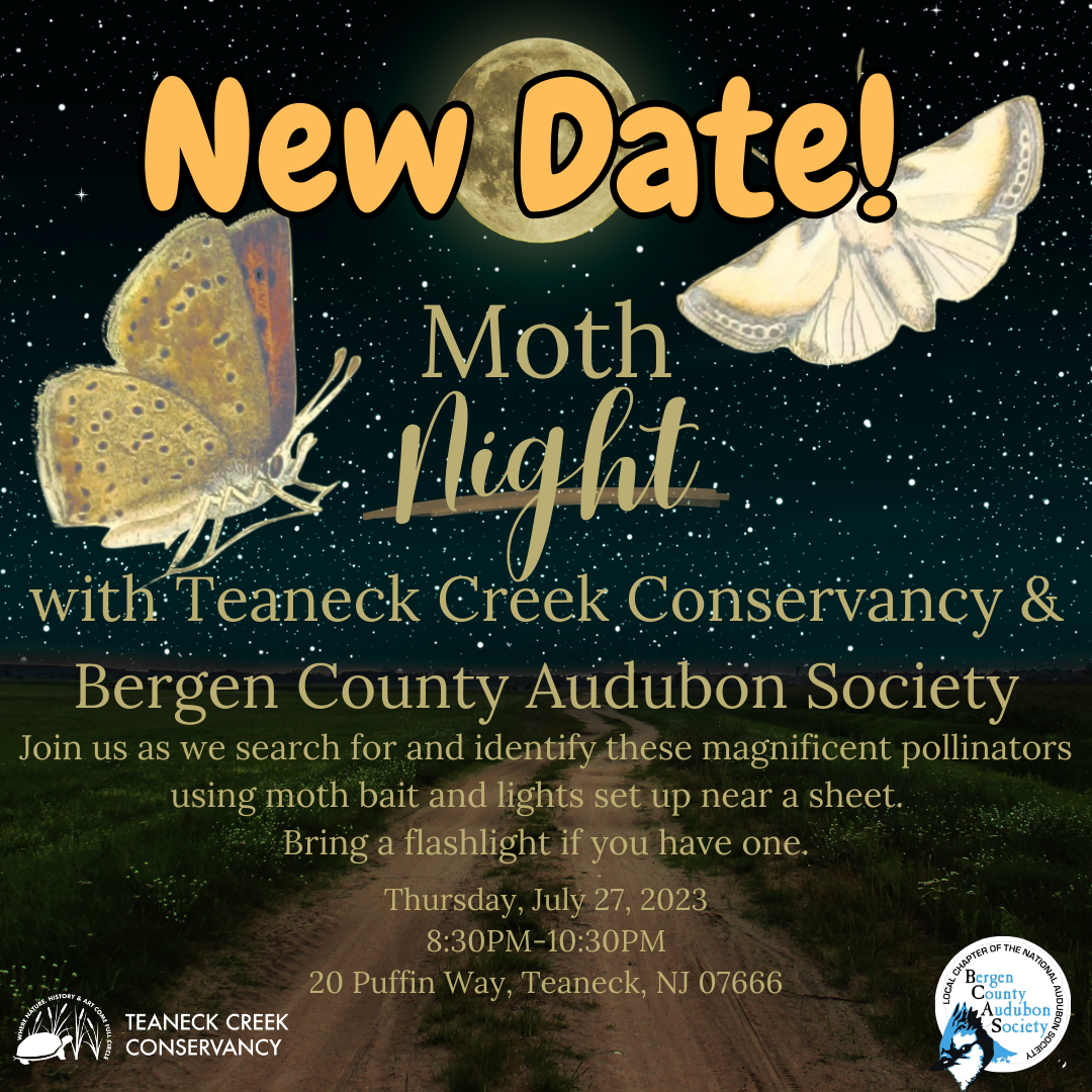 Moth Night — Teaneck Creek Conservancy