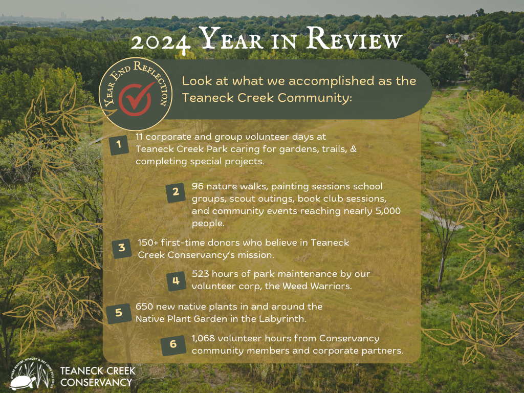 What we do — Teaneck Creek Conservancy