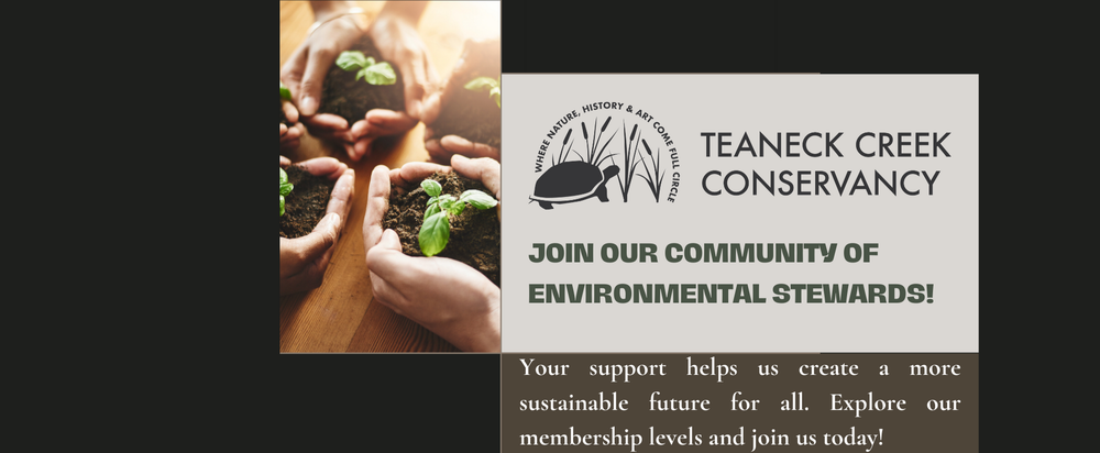 Become a Member — Teaneck Creek Conservancy