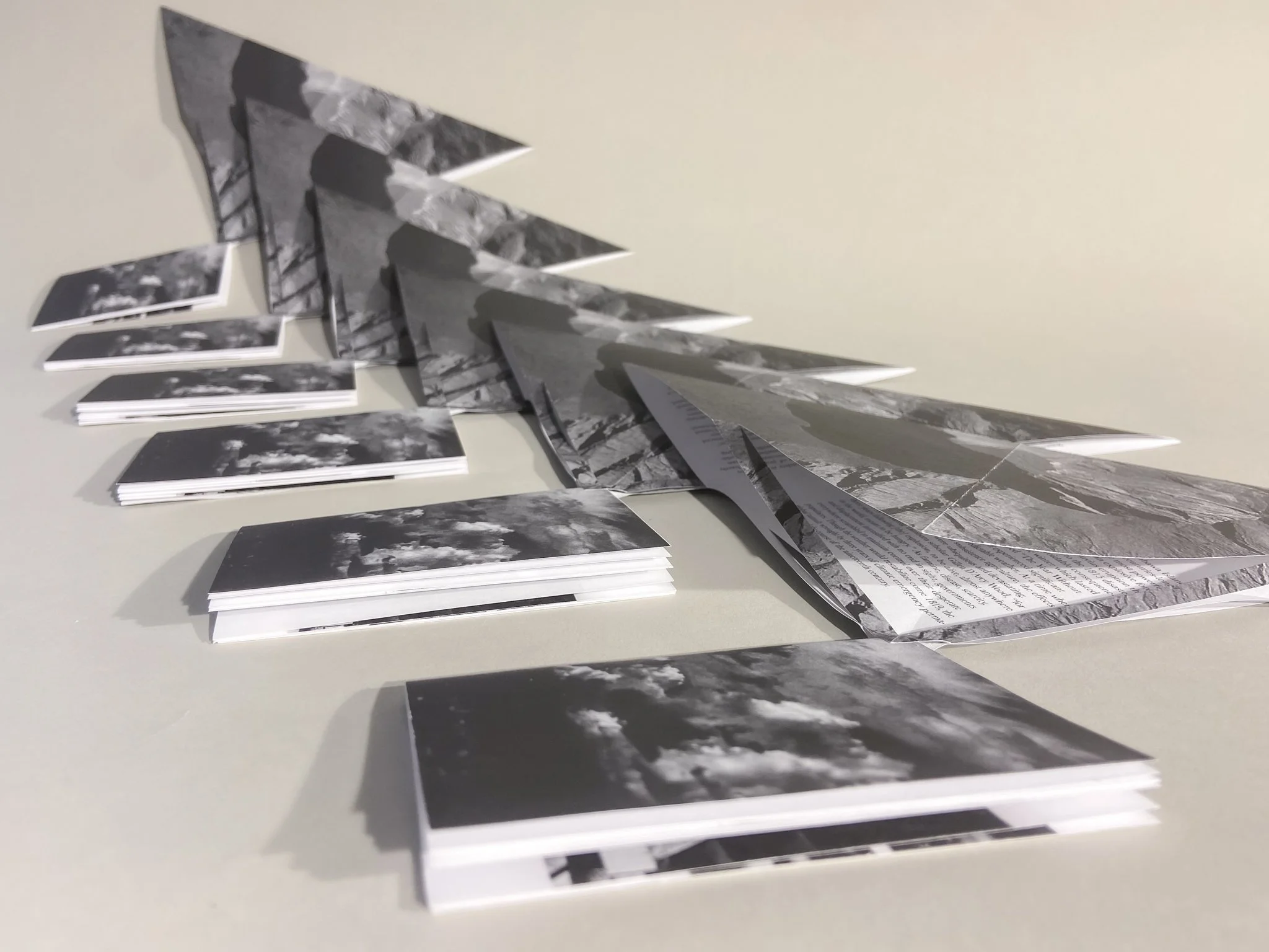 Passenger Pigeon Press