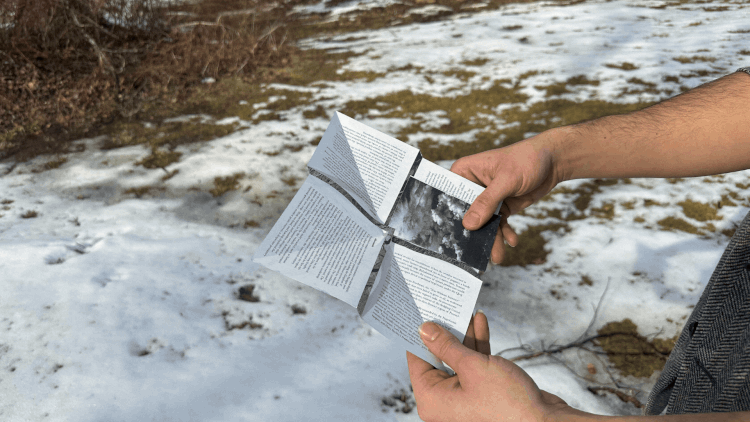 Passenger Pigeon Press