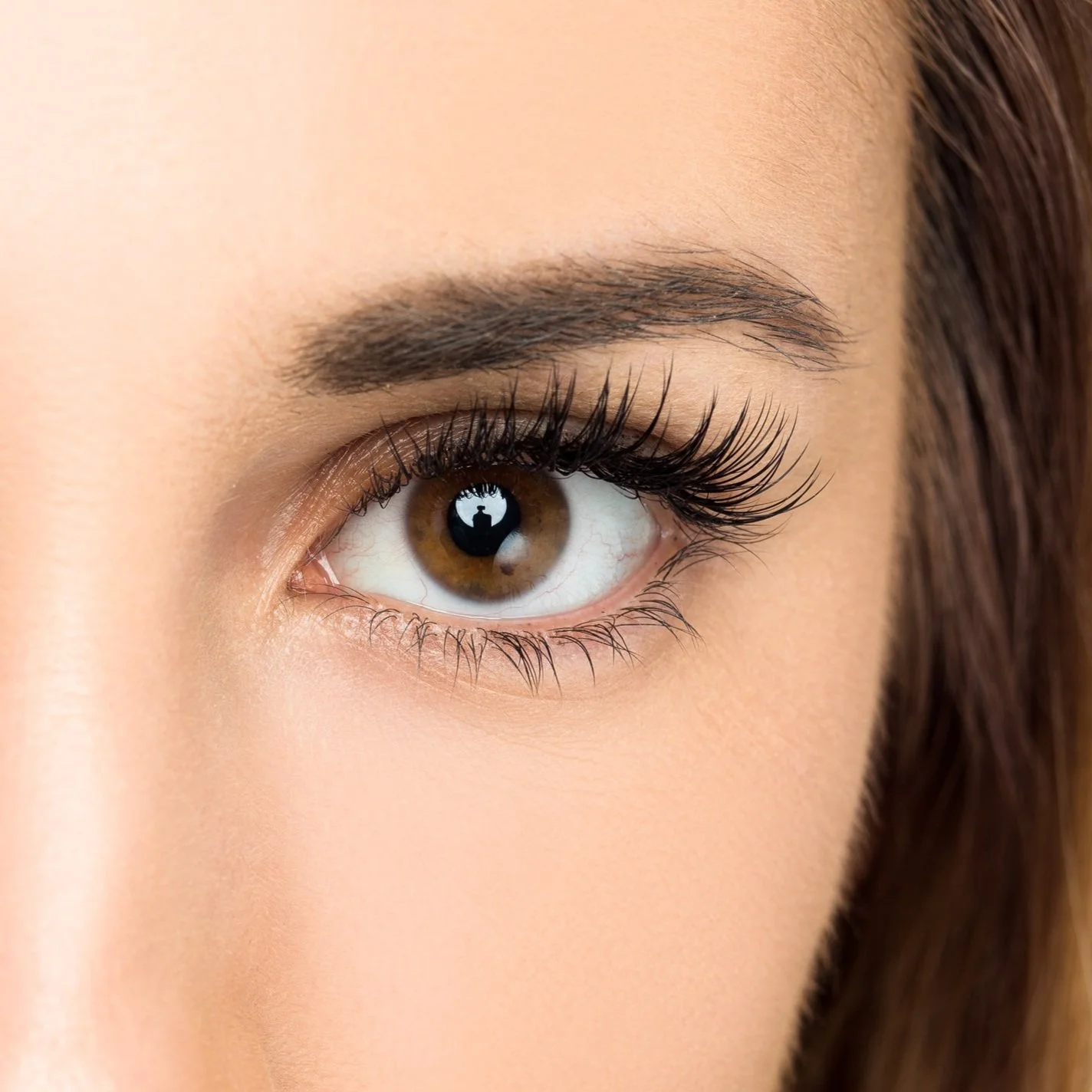 DC Lash Bar