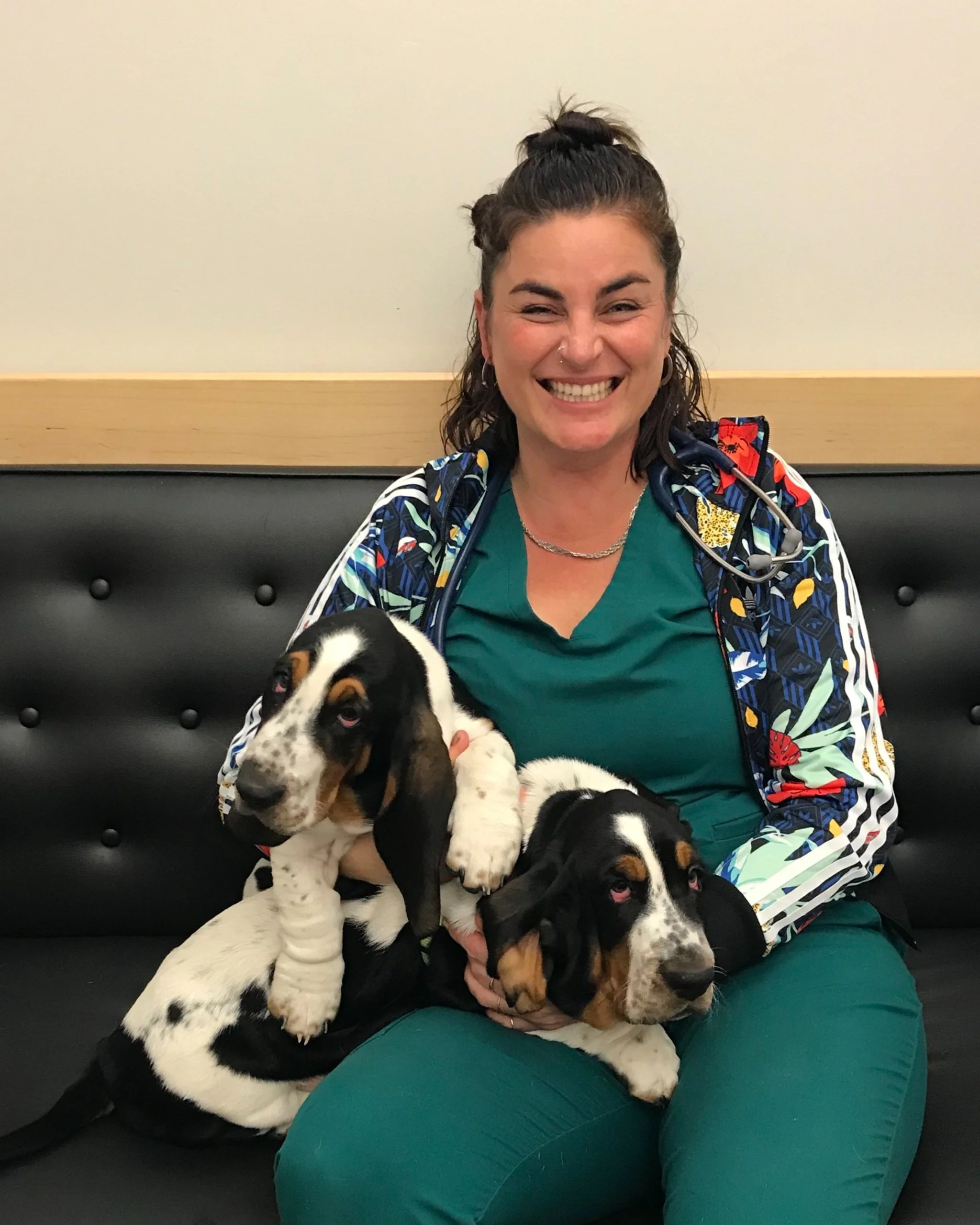 Veterinarians — Kenton Animal Hospital // Cathedral Animal Hospital