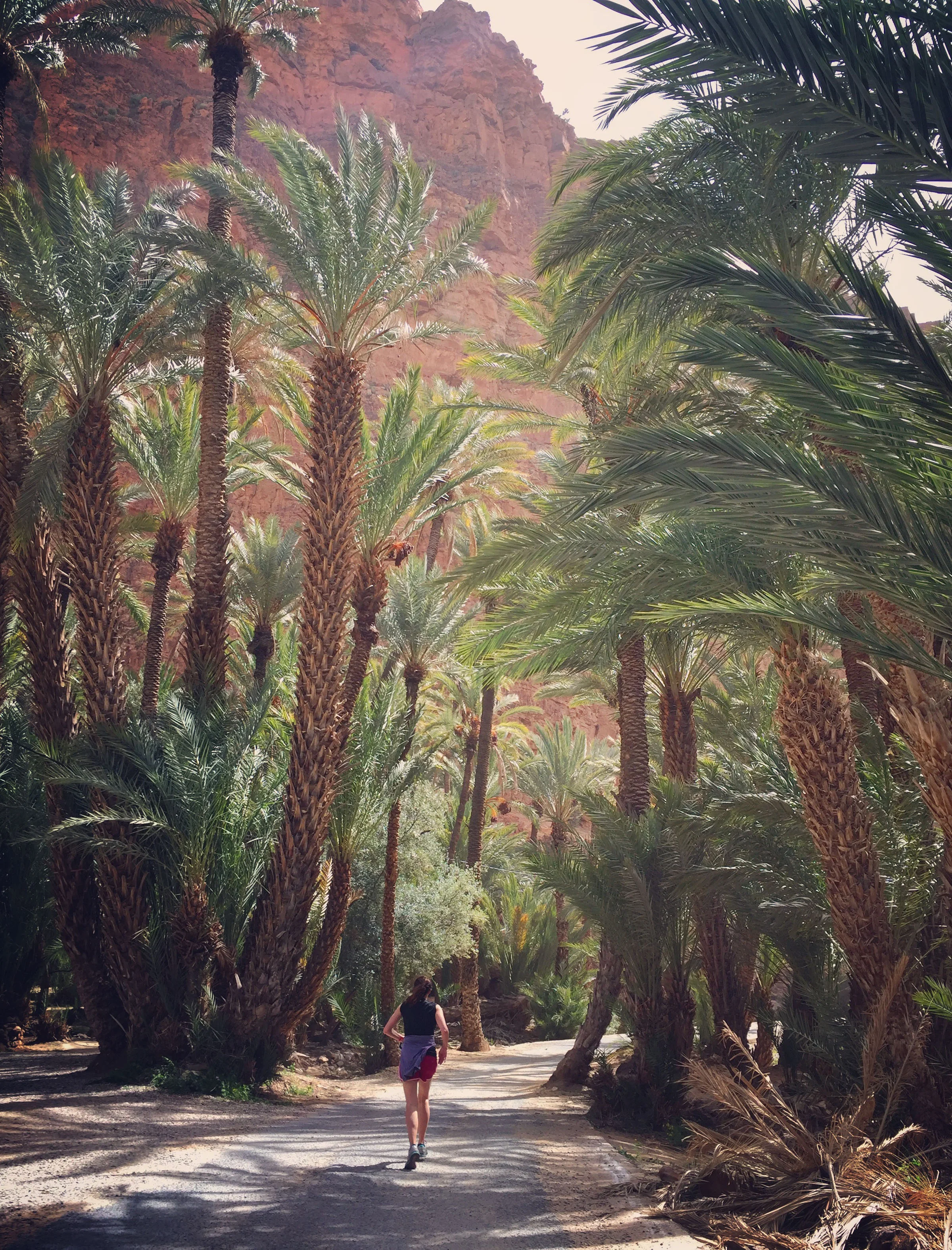 Meet a Rogue Expeditions runner: Jenny Truax — Rogue Expeditions