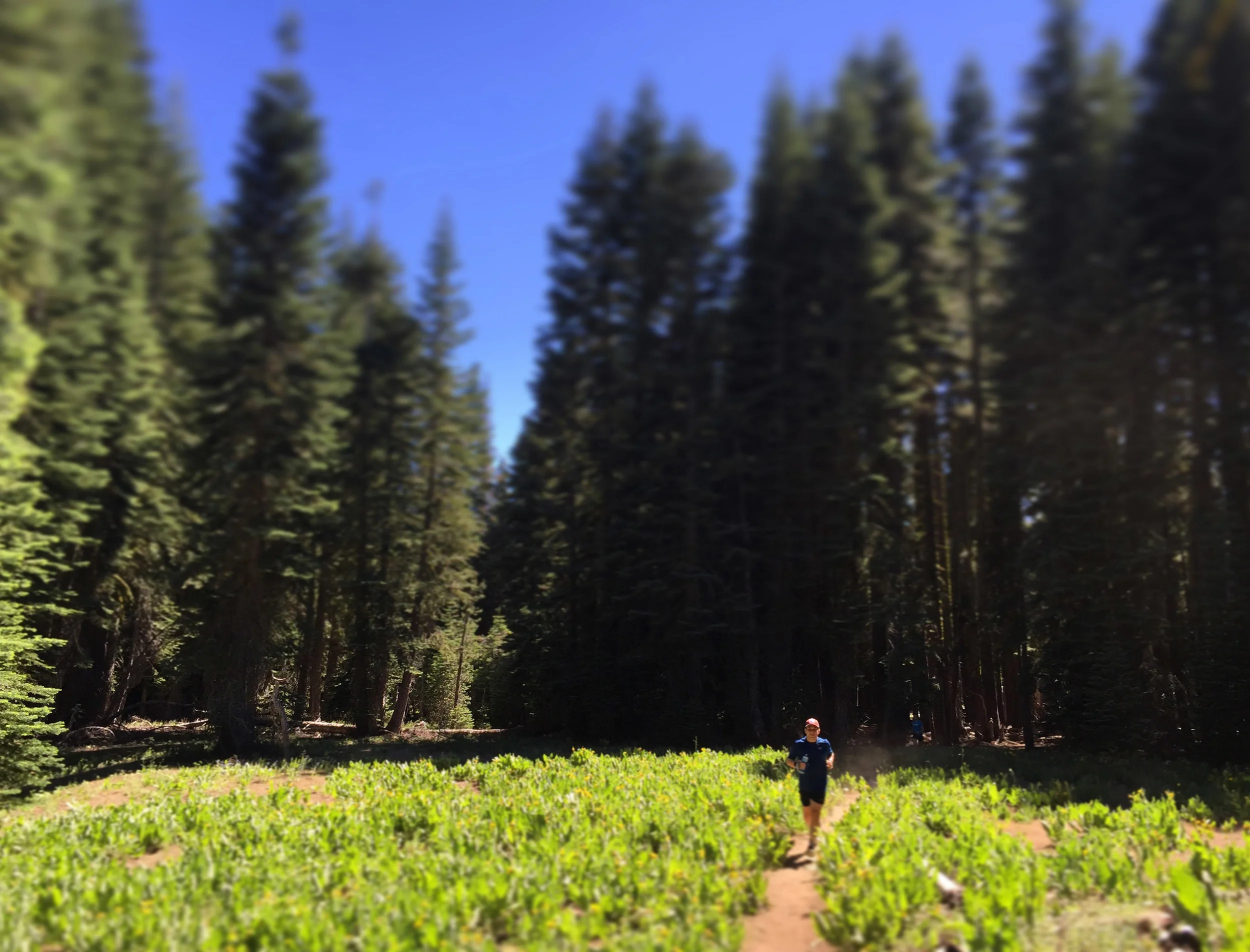 Meet a Rogue Expeditions Runner: Michael Langer — Rogue Expeditions