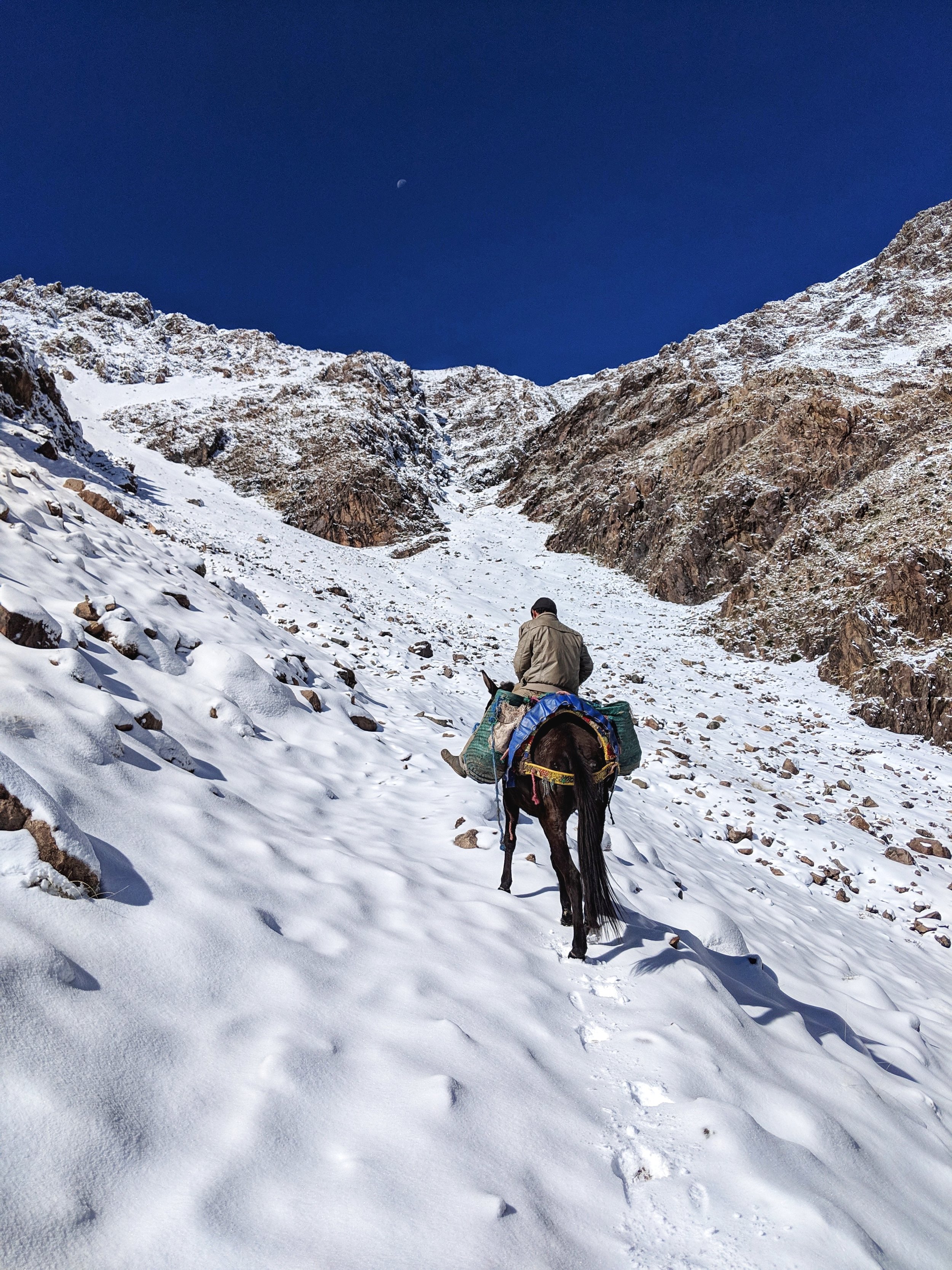 Uncovering Gems: Designing a Rogue Expeditions Run — Rogue Expeditions