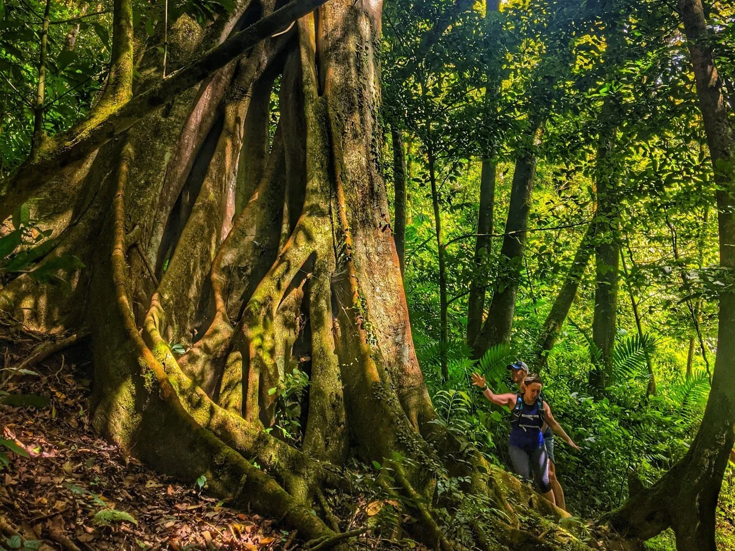 Rogue Expeditions - Adventure Travel for Runners