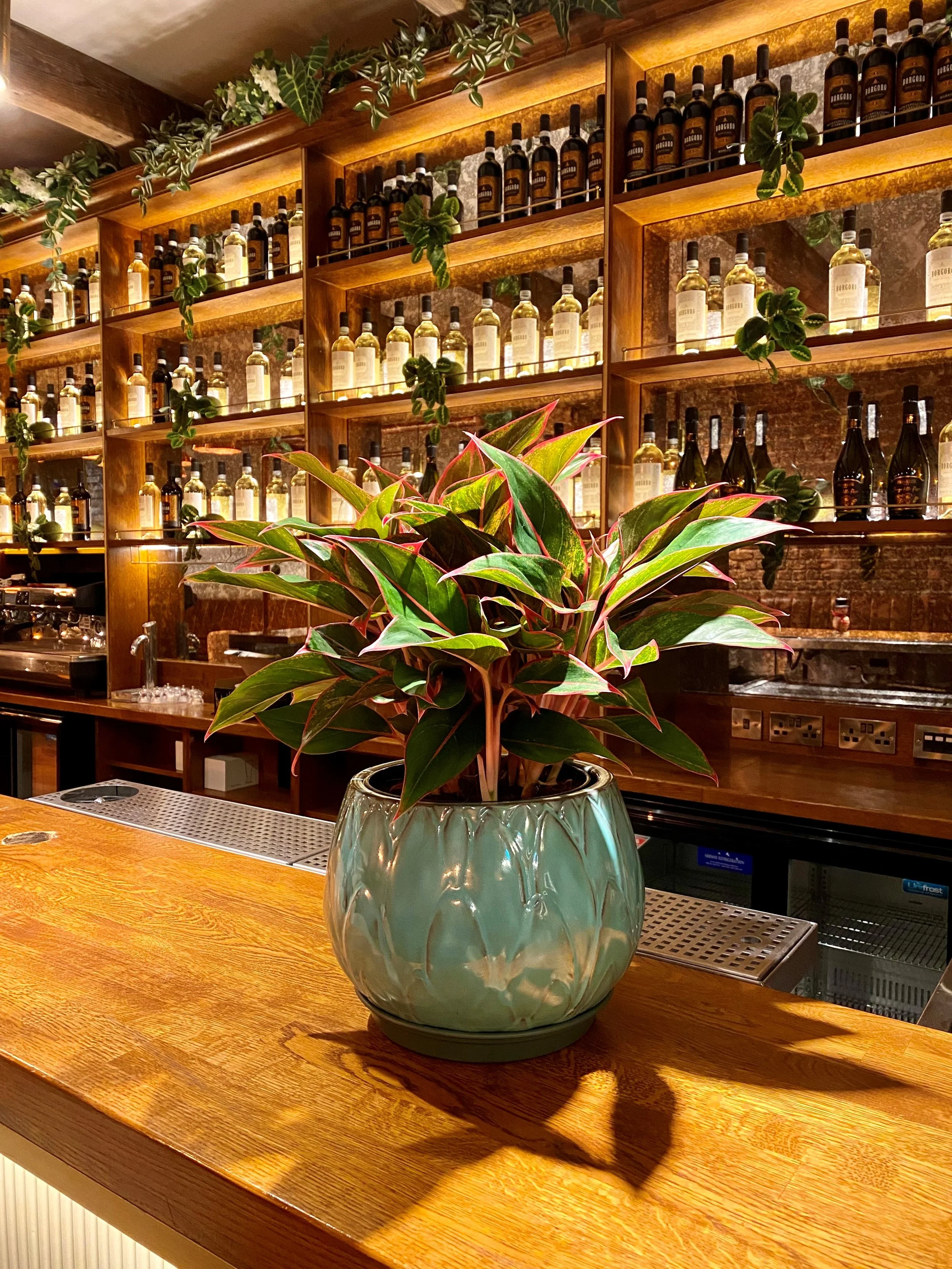 Italian Restaurant Clontarf | Picasso Restaurant Clontarf