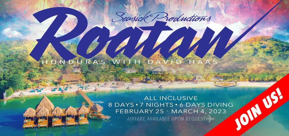 Upcoming Trips — ScubaChic