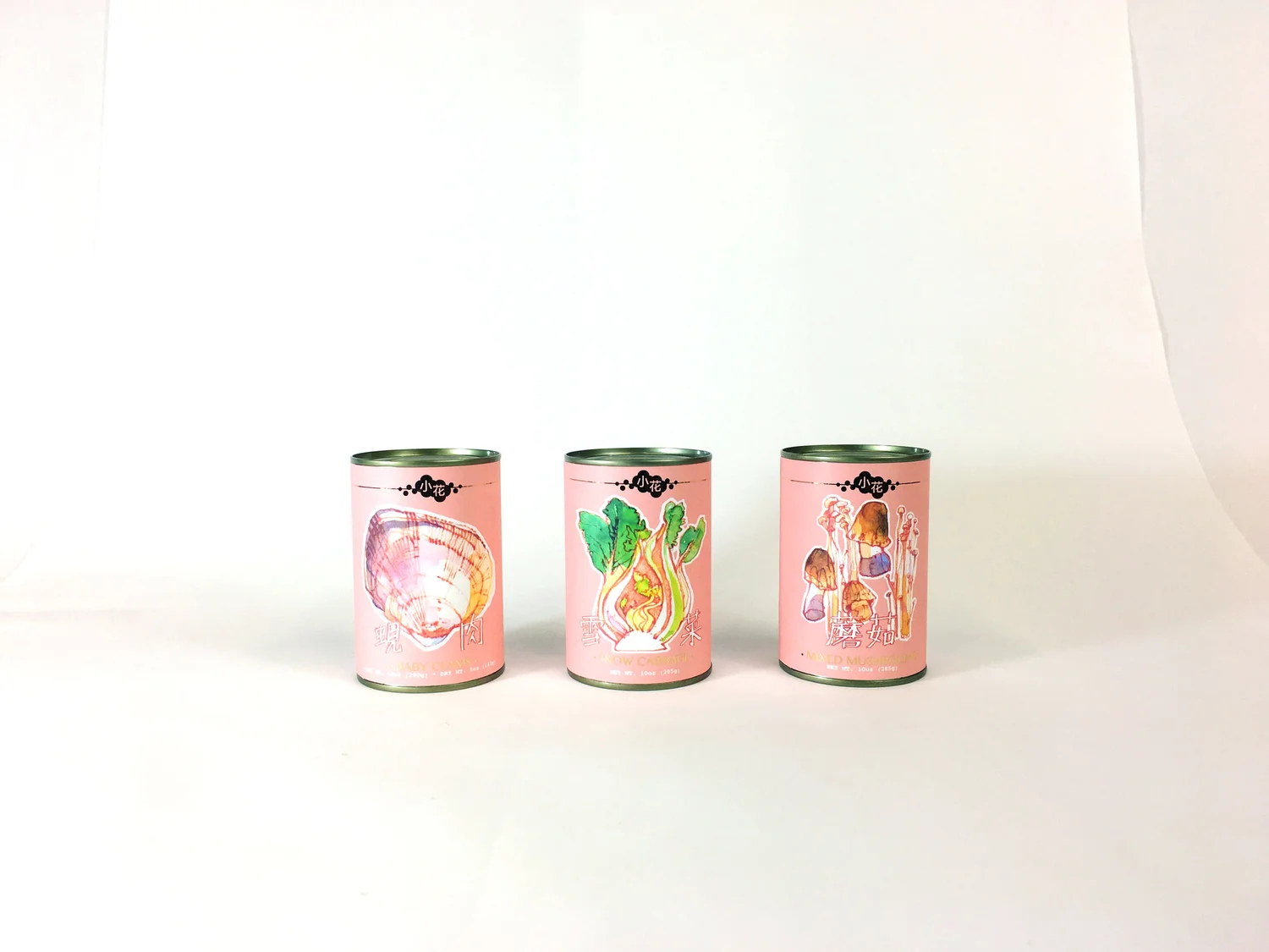 Projects — Janice Chuang