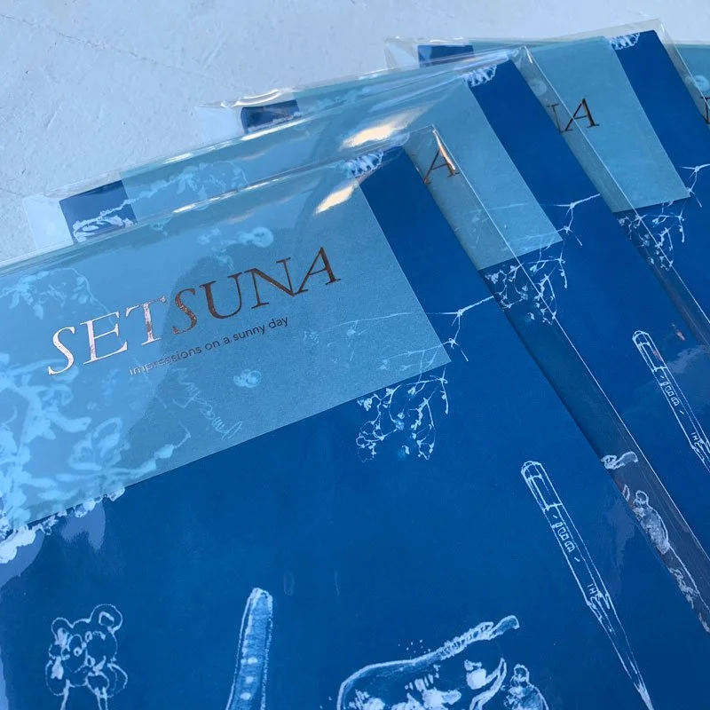 Projects — Janice Chuang