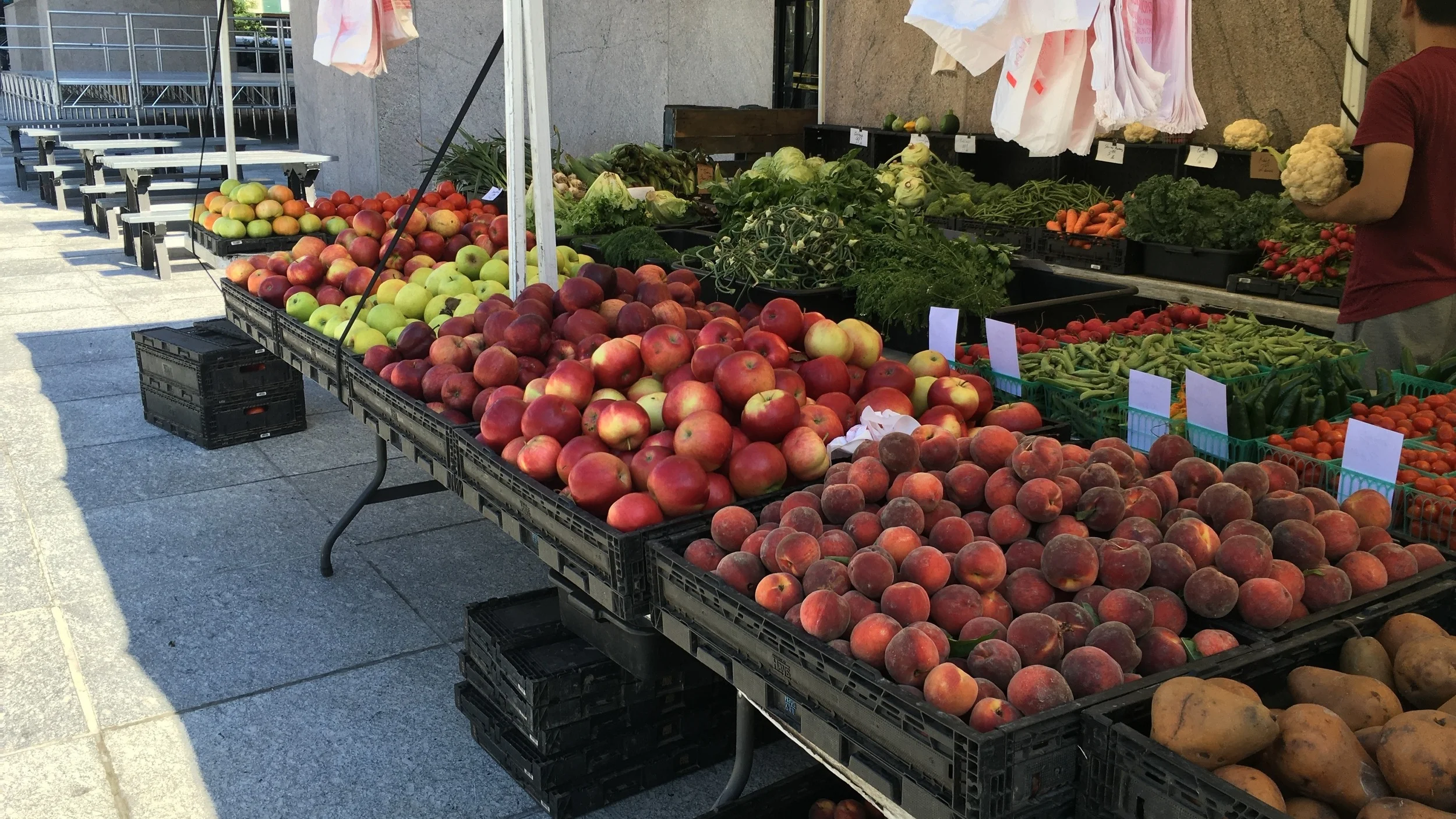 CUNY Urban Food Policy Institute