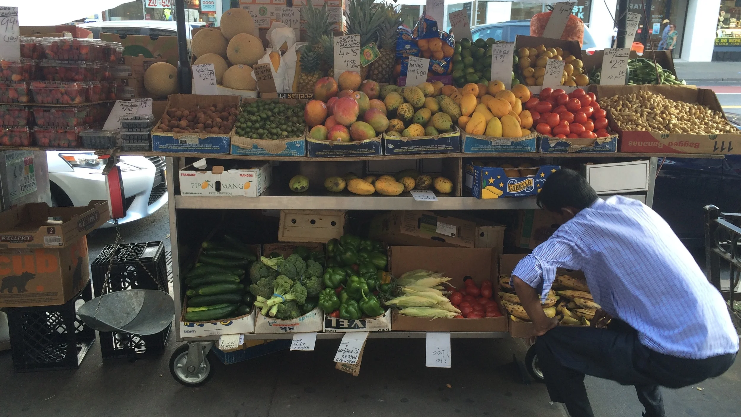 CUNY Urban Food Policy Institute