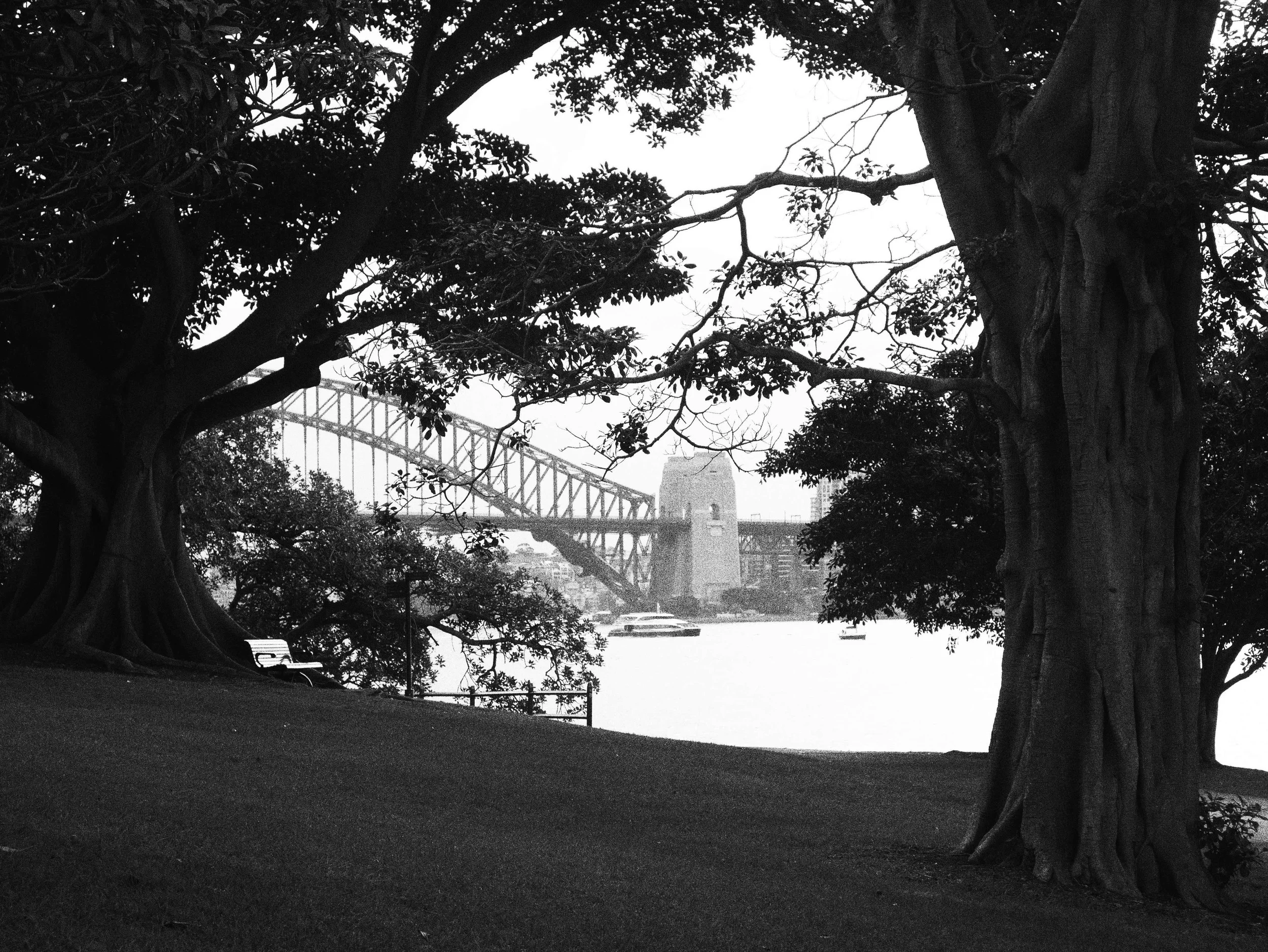 Sydney Workshop 2022 Schema Therapy Training Australia Sydney Workshop 2022 Schema Therapy Training Australia