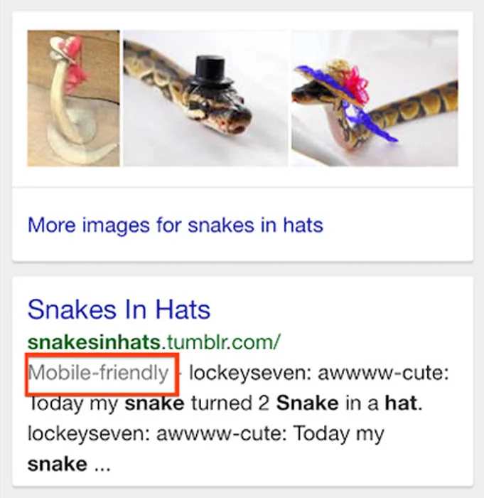 Snakes In Hats Tumblr