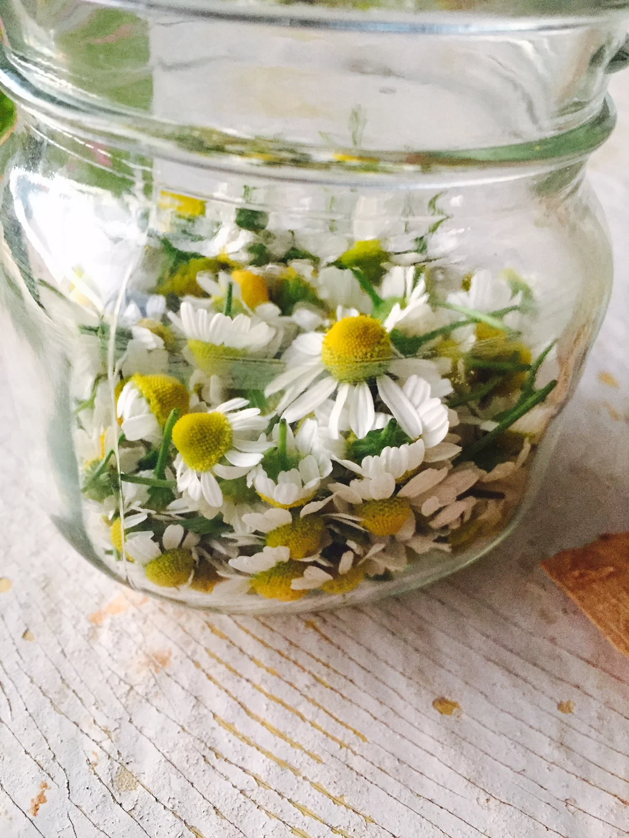 Nitty Gritty: Top 5 Flowers to Grow in Your Vegetable Garden — Sierra ...