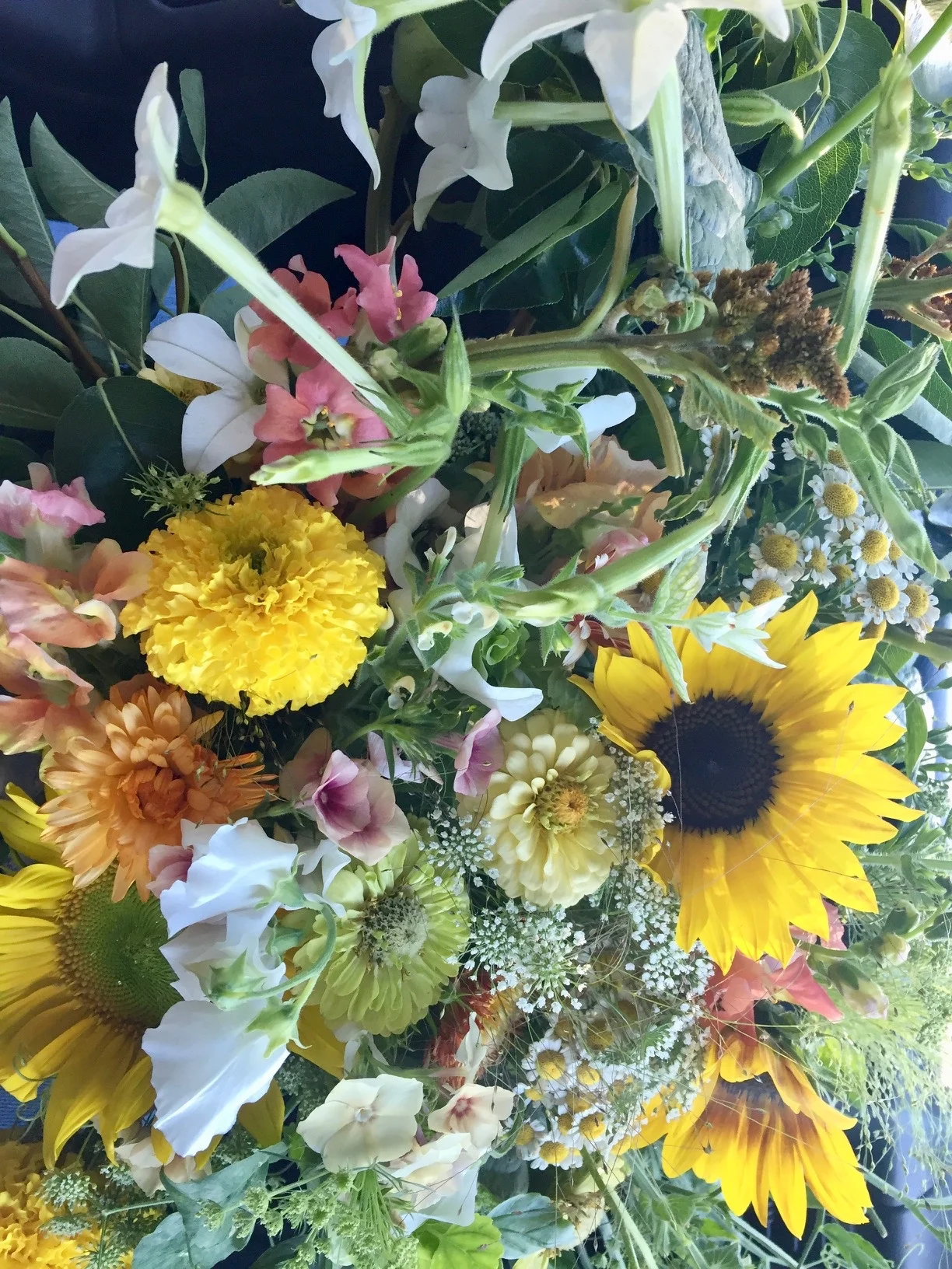 Nitty Gritty: Top 5 Flowers to Grow in Your Vegetable Garden — Sierra ...