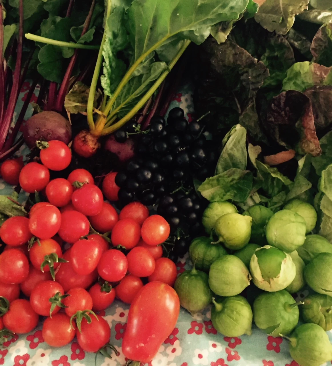 Nitty Gritty: Top 5 Flowers to Grow in Your Vegetable Garden — Sierra ...