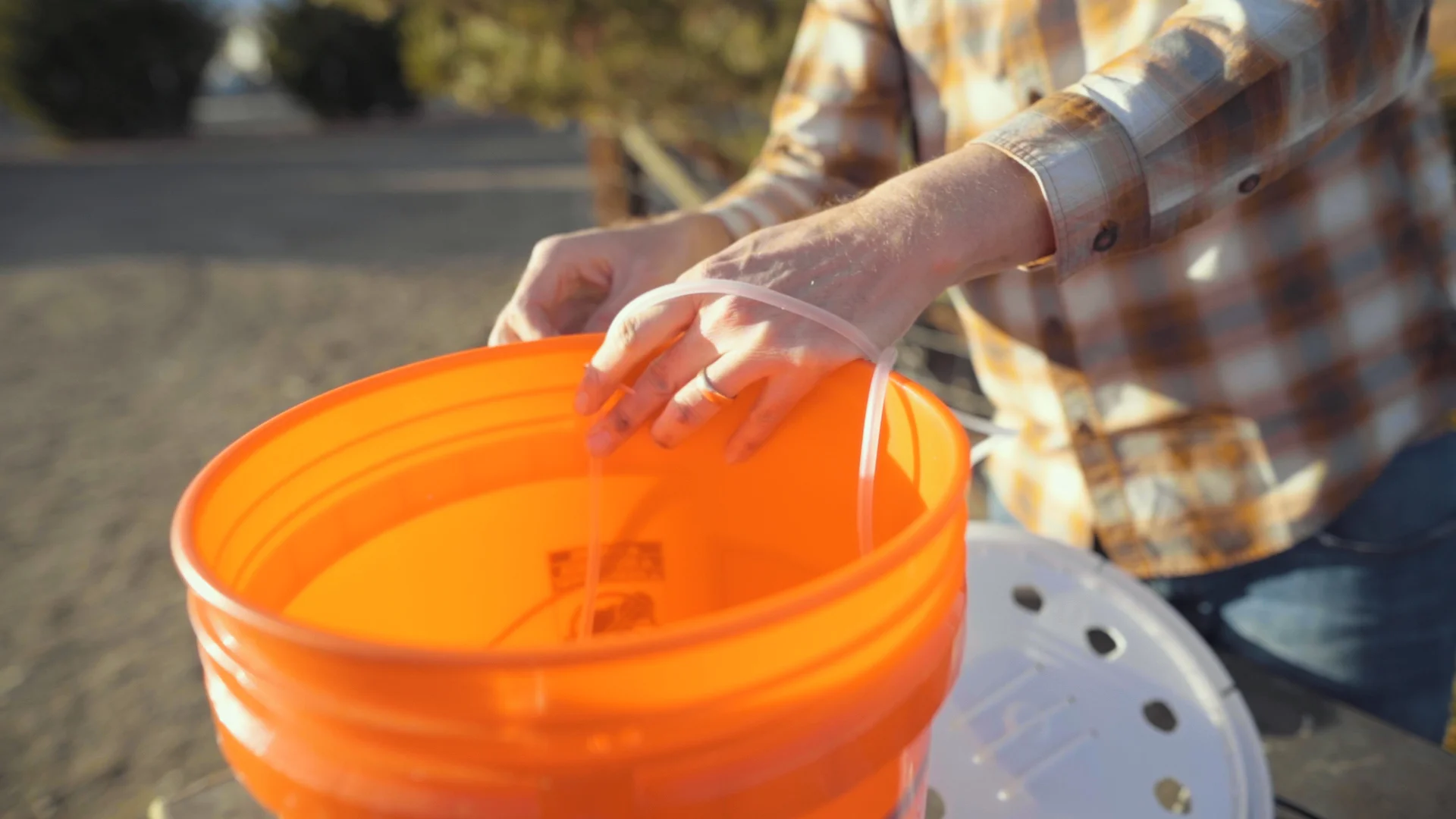 How to Make Your Own Anemone & Ranunculus Corm Soaking/Compost Tea ...