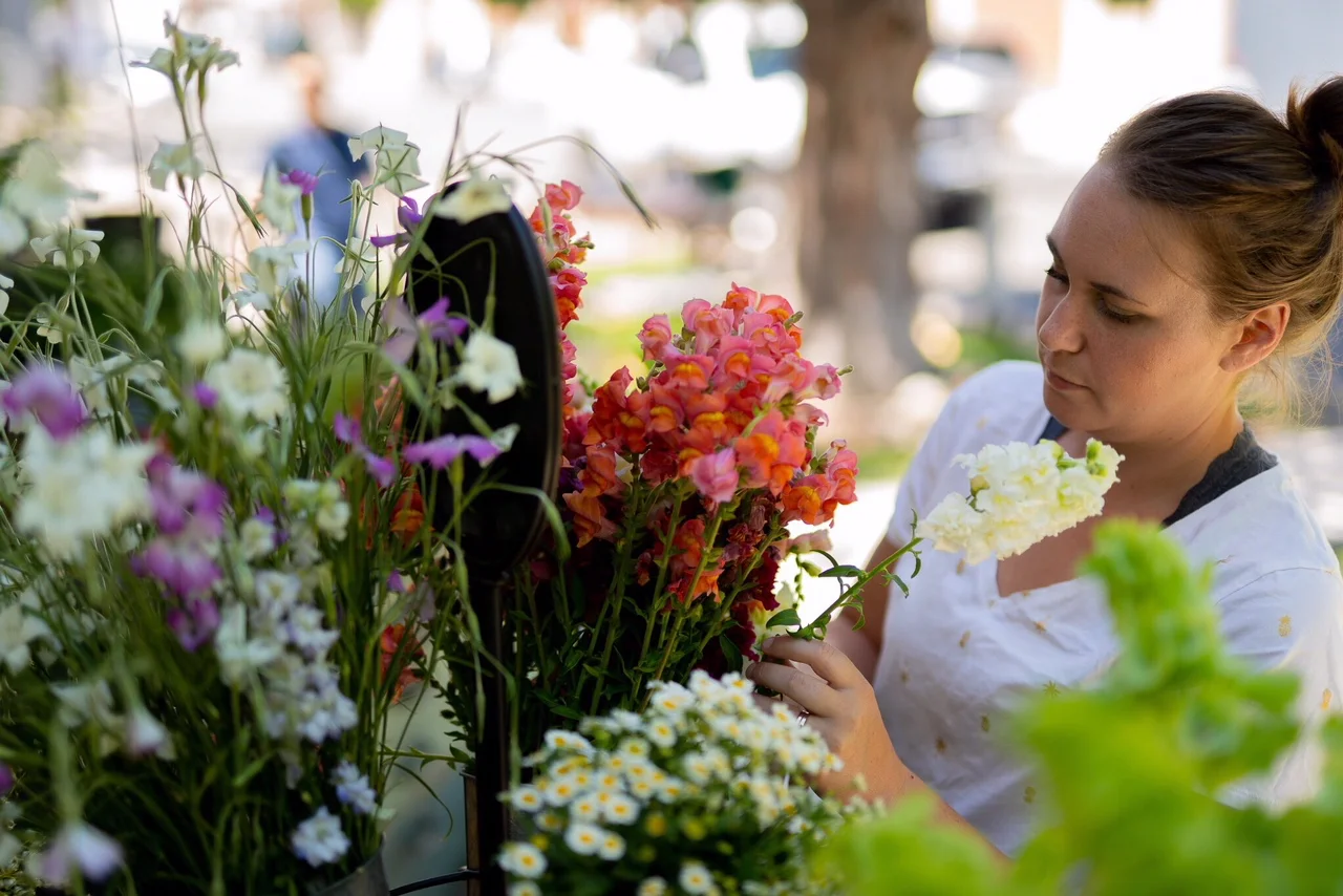 Advice for First Year Flower Farmers and Dreamers — Sierra Flower Farm