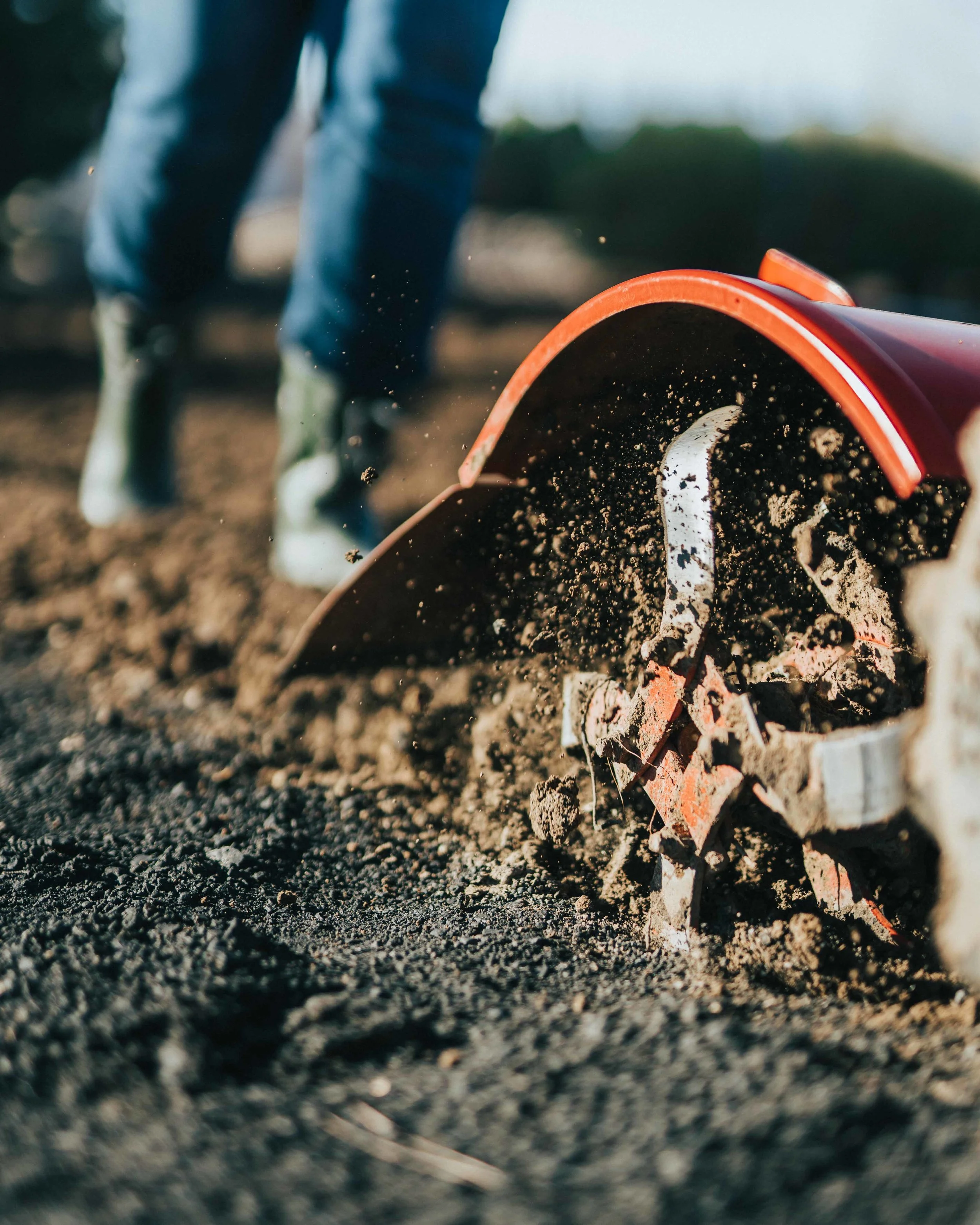 Advice for First Year Flower Farmers and Dreamers — Sierra Flower Farm