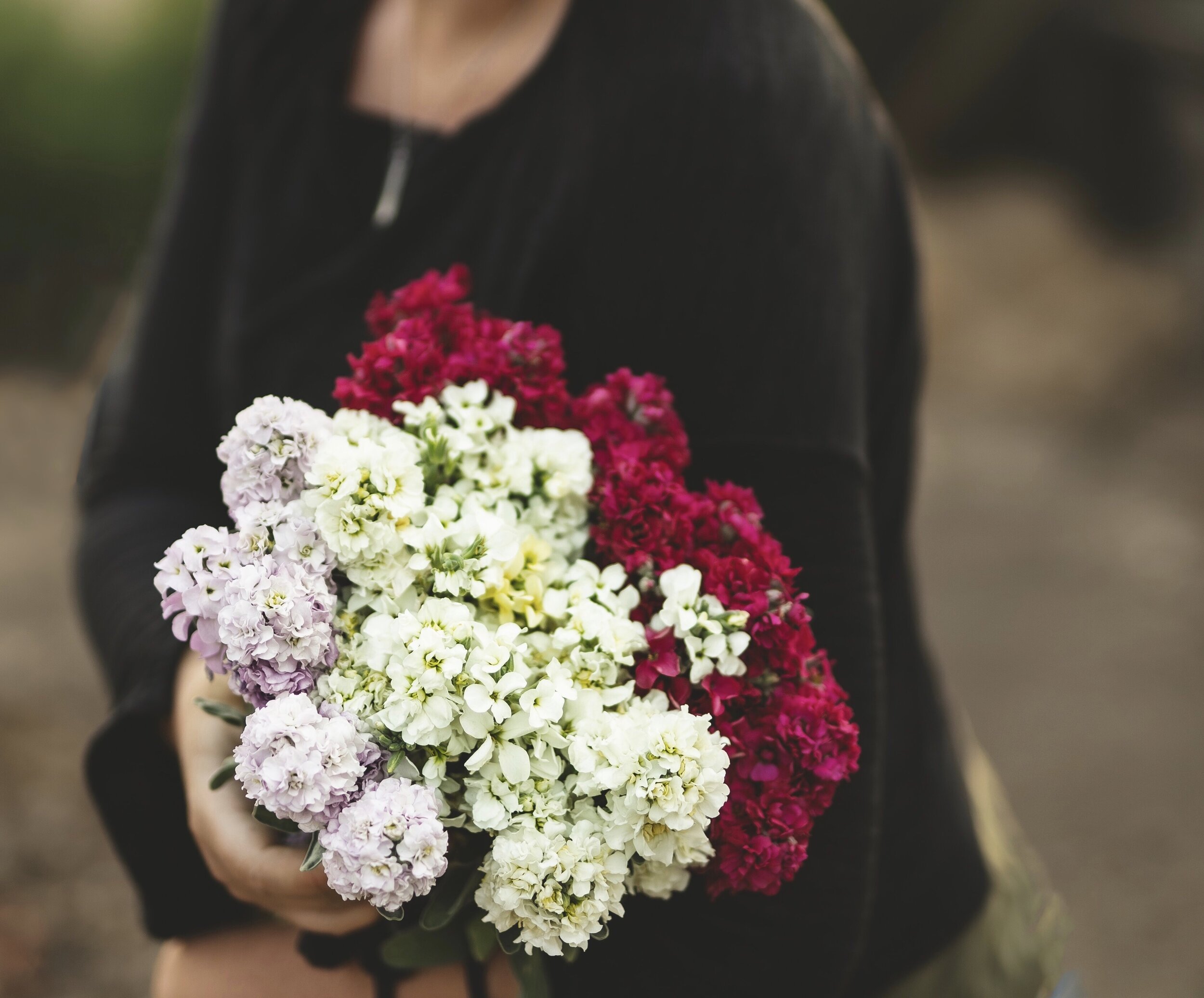 Nitty Gritty: Seed starting for the flower farmer — Sierra Flower Farm