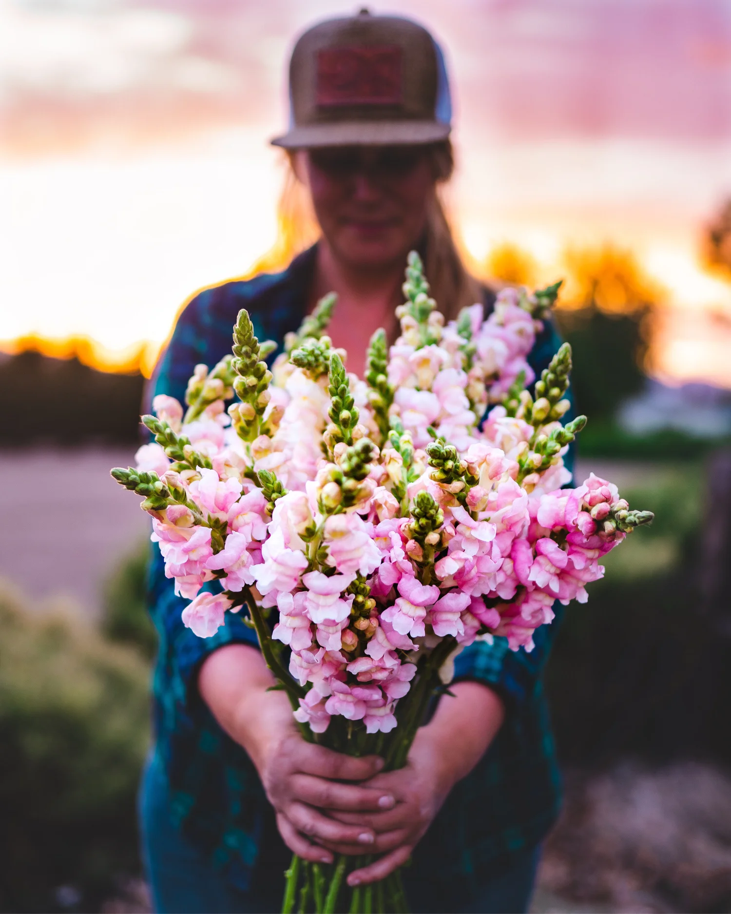 Snapdragons — Sierra Flower Farm