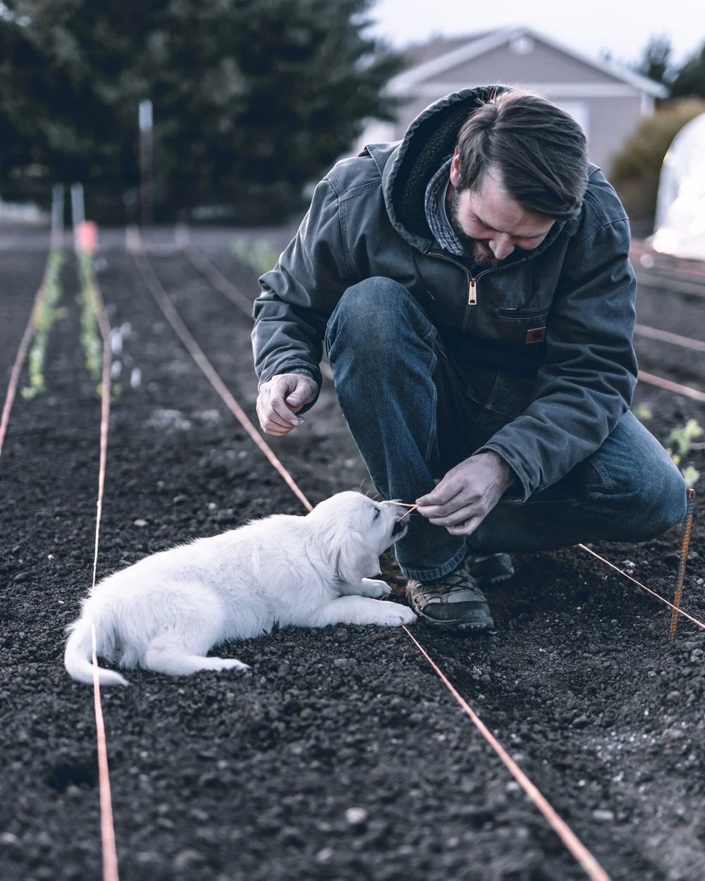 Bookkeeping for Flower Farmers — Sierra Flower Farm