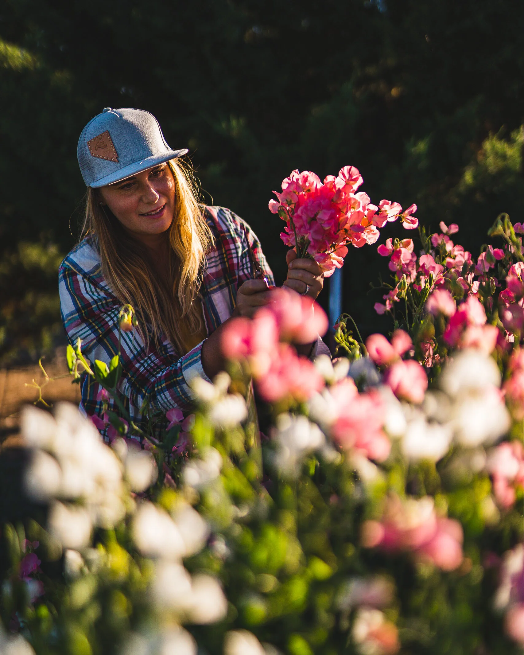 Succession Planting of Annuals for the Flower Farmer — Sierra Flower Farm