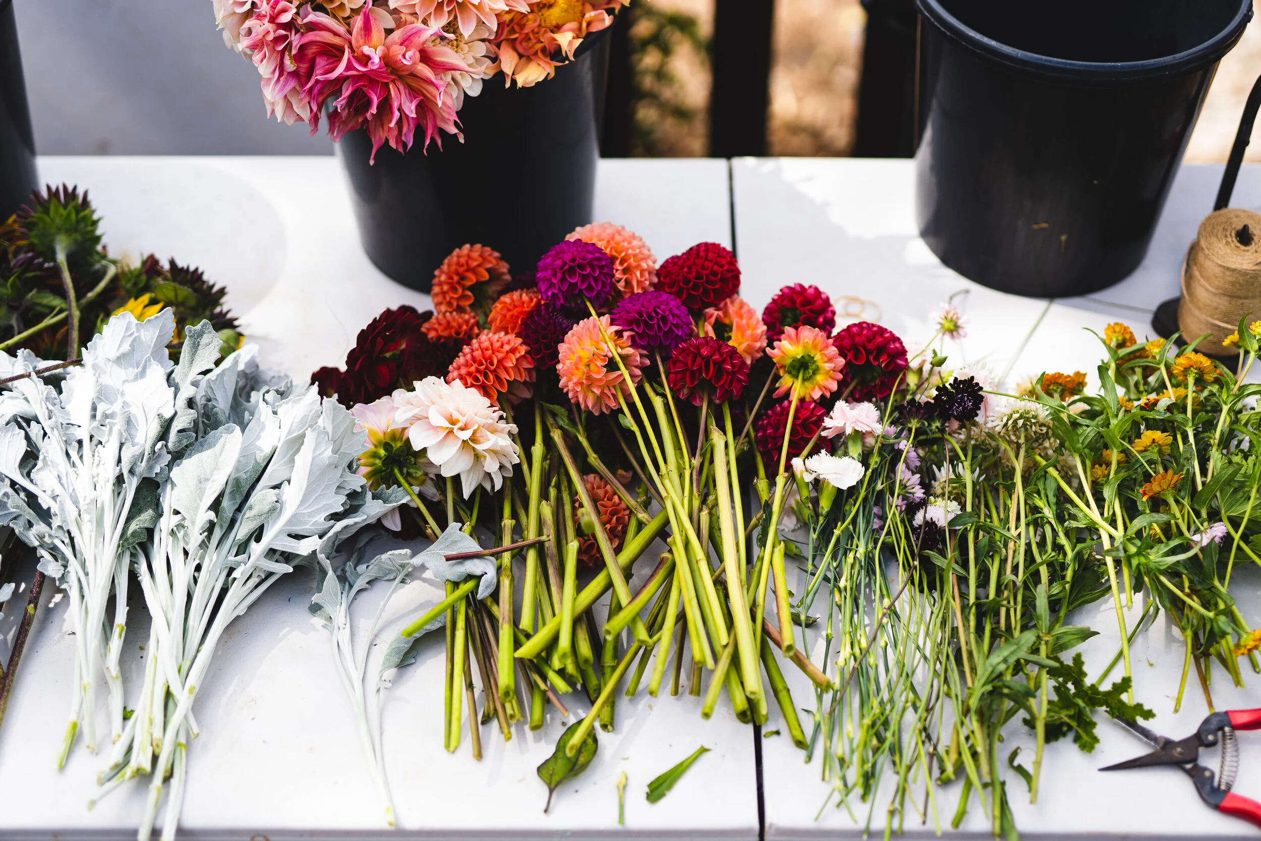 Flower Farming Business: Farmer’s Market — Sierra Flower Farm