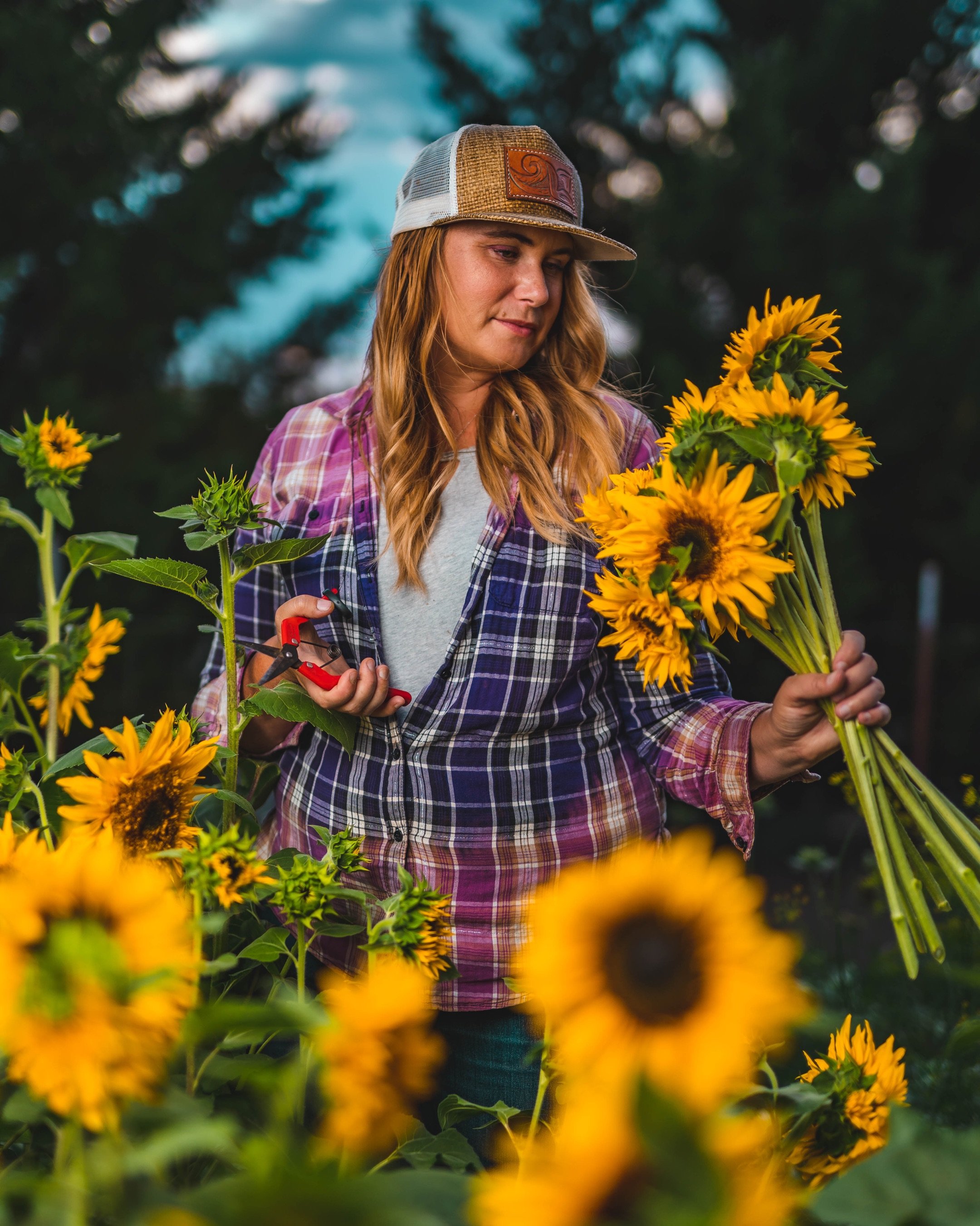 Sierra Flower Farm's Must Have Seed Starting Supplies — Sierra Flower Farm