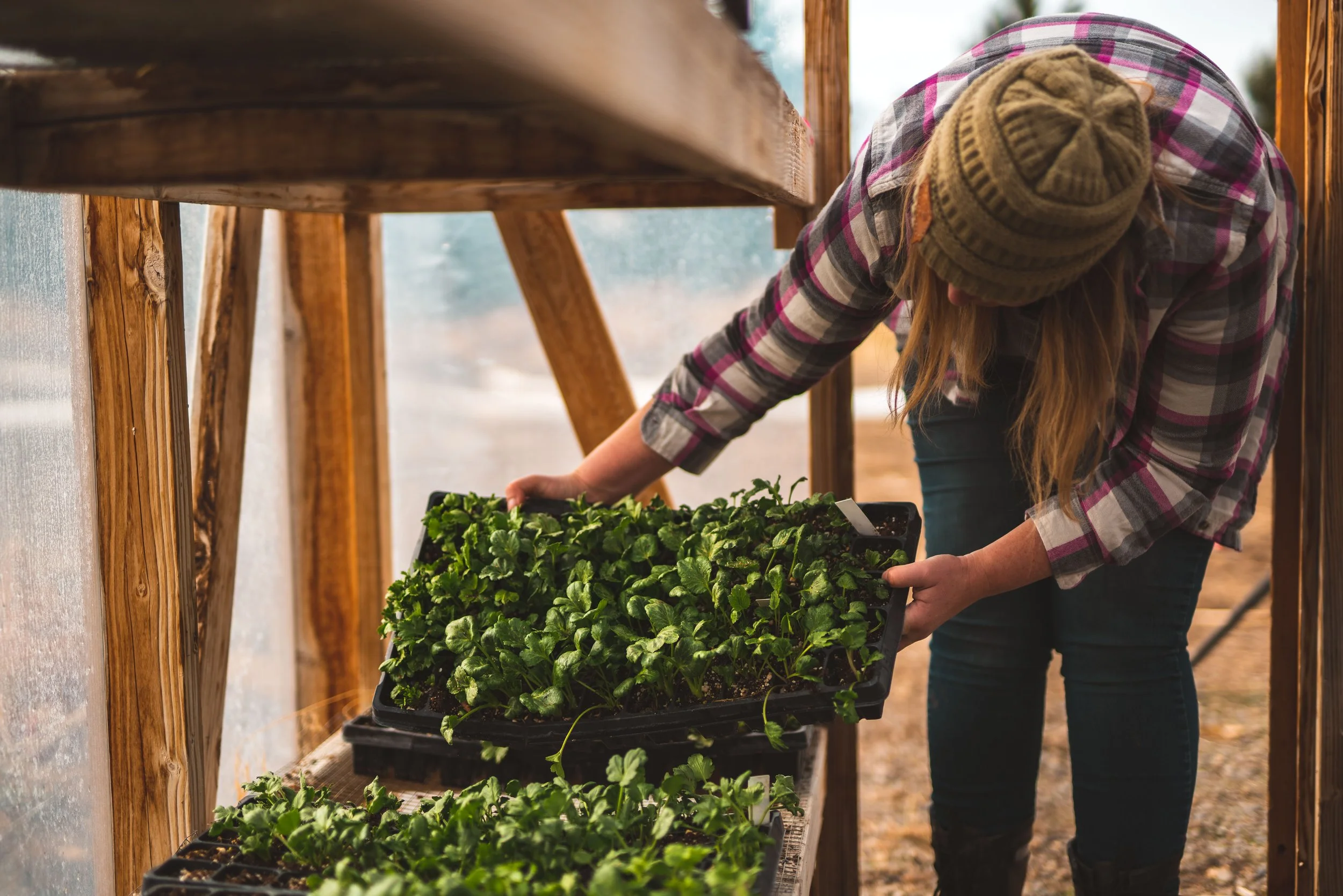 Blog — Sierra Flower Farm