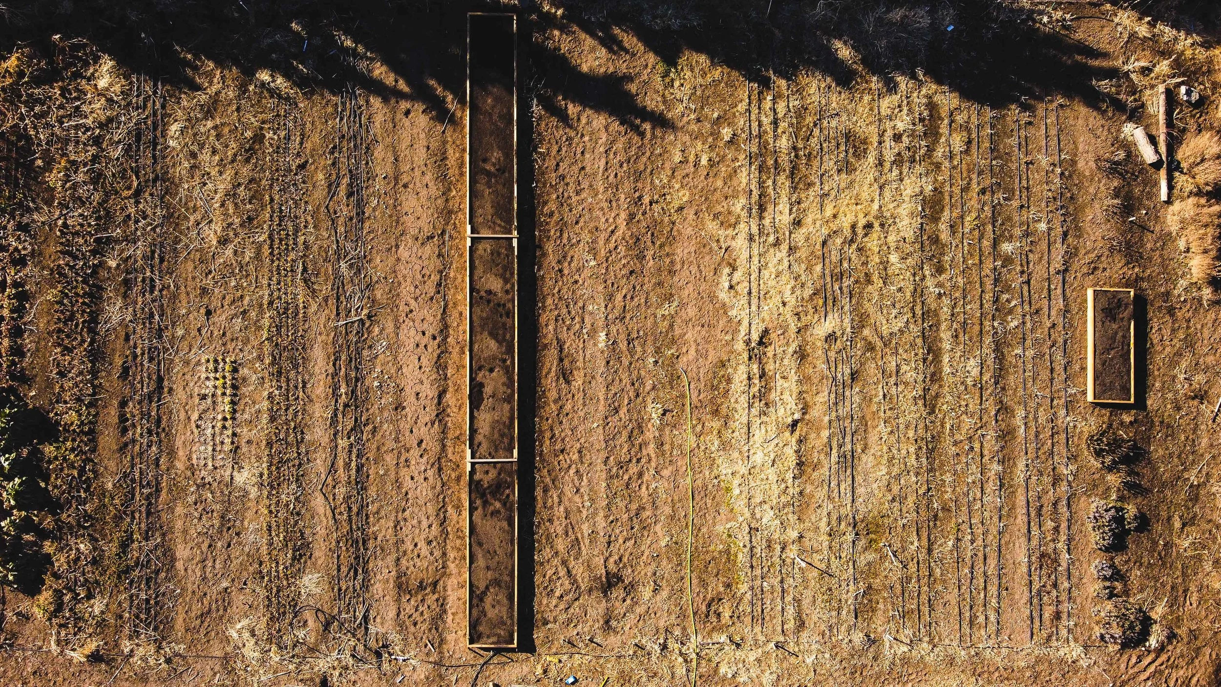 Laying Out Your Cut Flower Field — Sierra Flower Farm