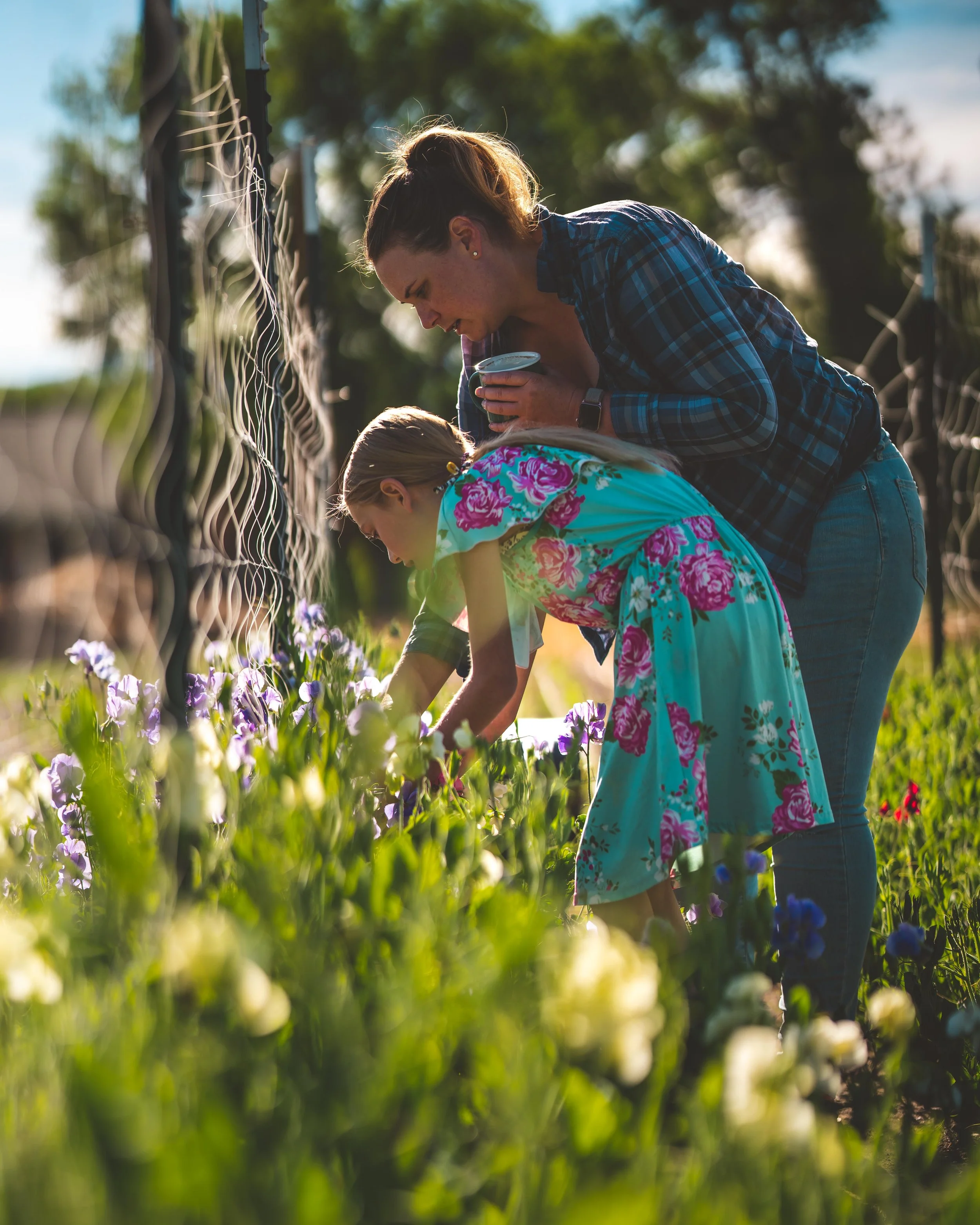 Sierra Flower Farm