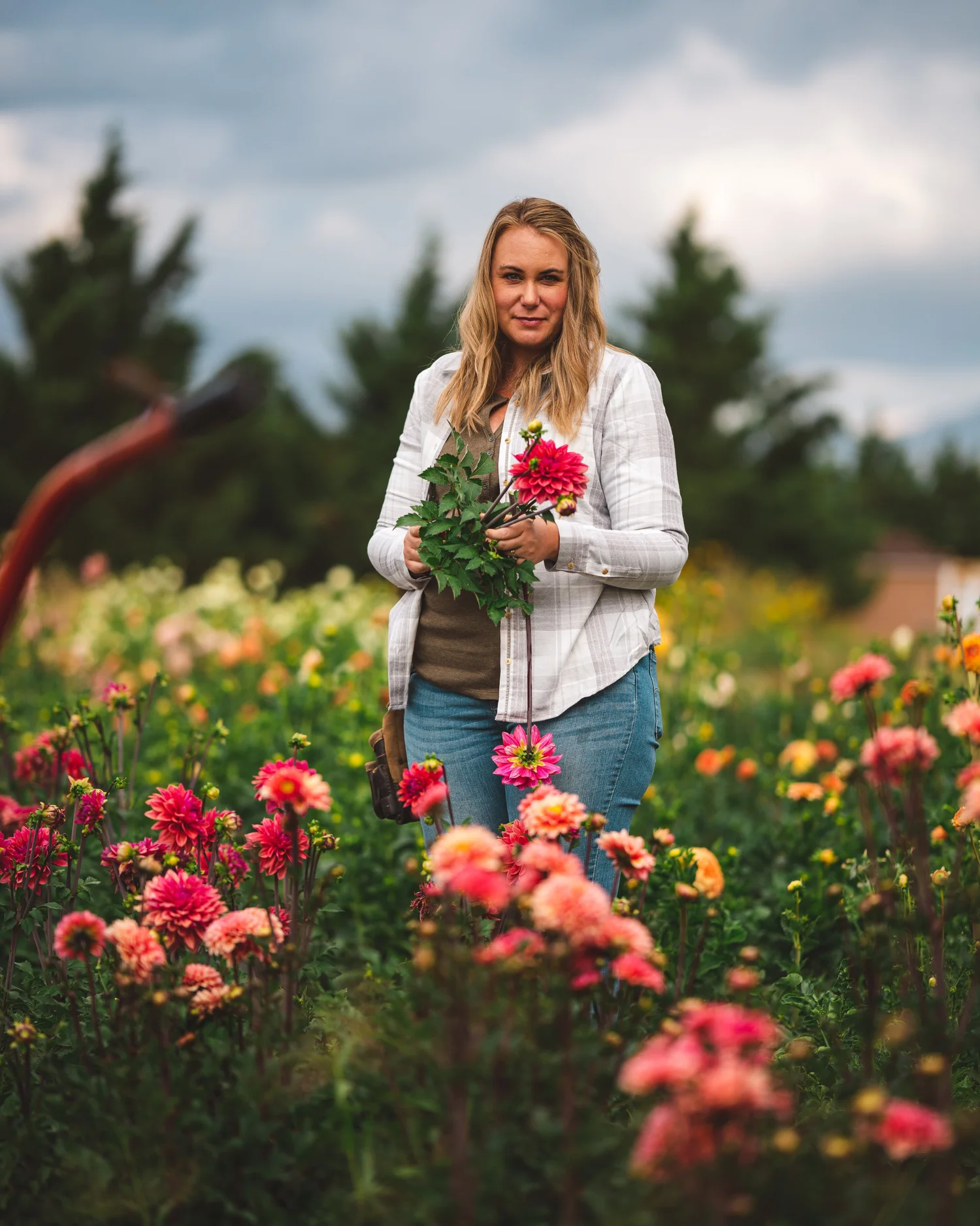 Crop planning for the flower farmer — Sierra Flower Farm