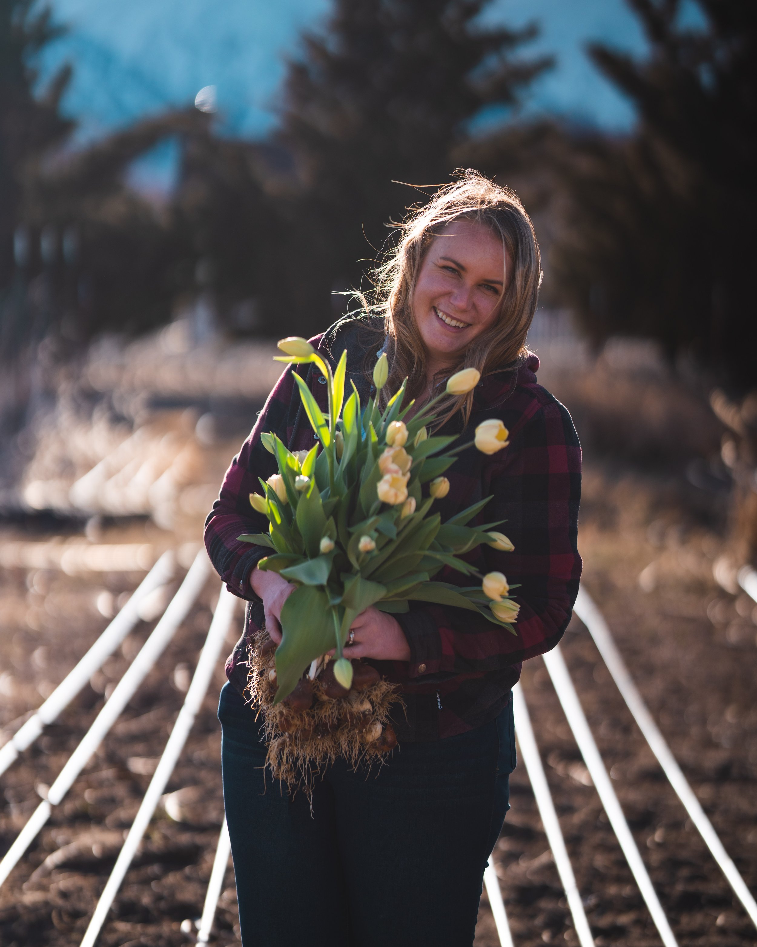 Simplifying Succession Planting for Cut Flowers — Sierra Flower Farm