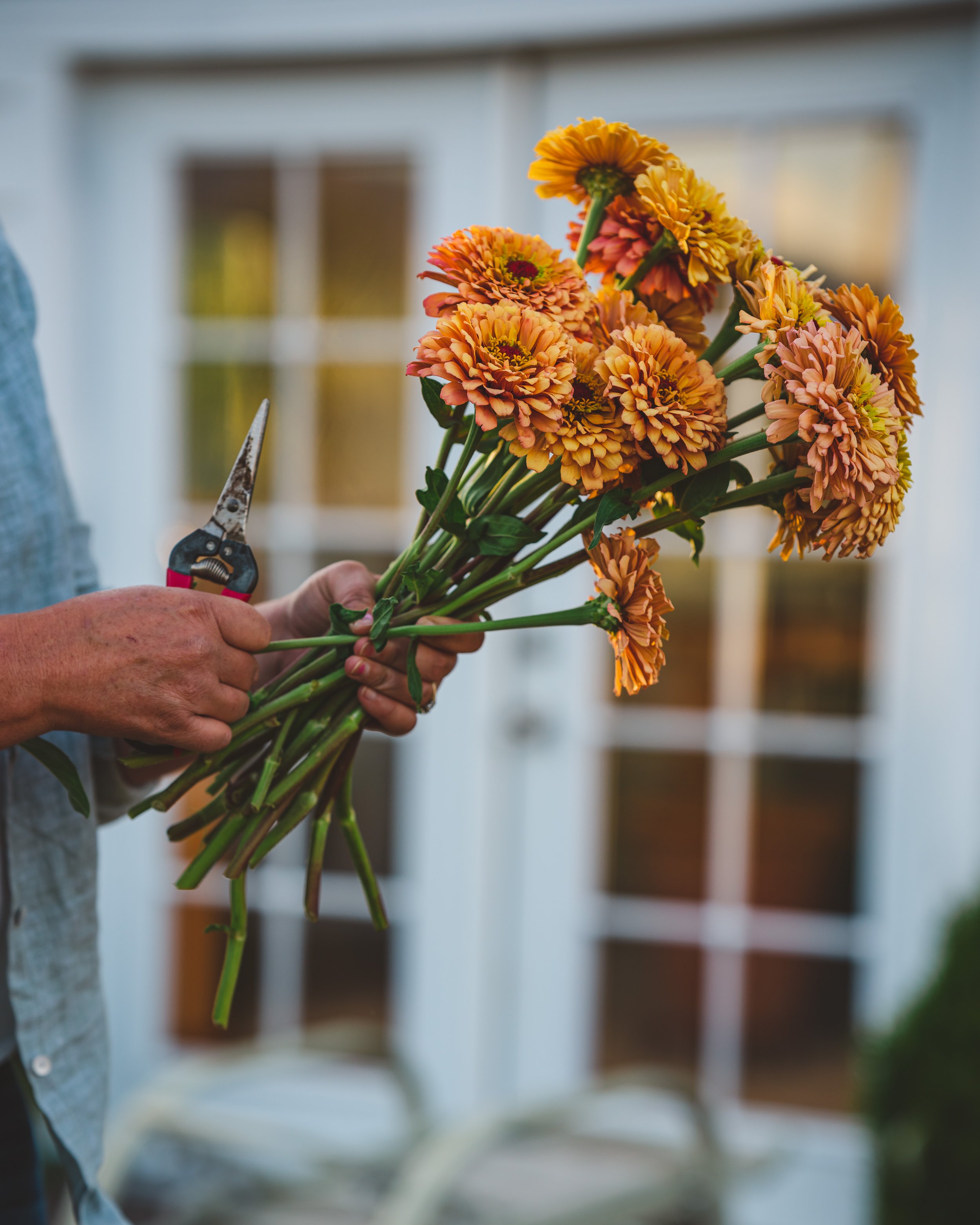 Sierra Flower Farm's Must Have Seed Starting Supplies — Sierra Flower Farm
