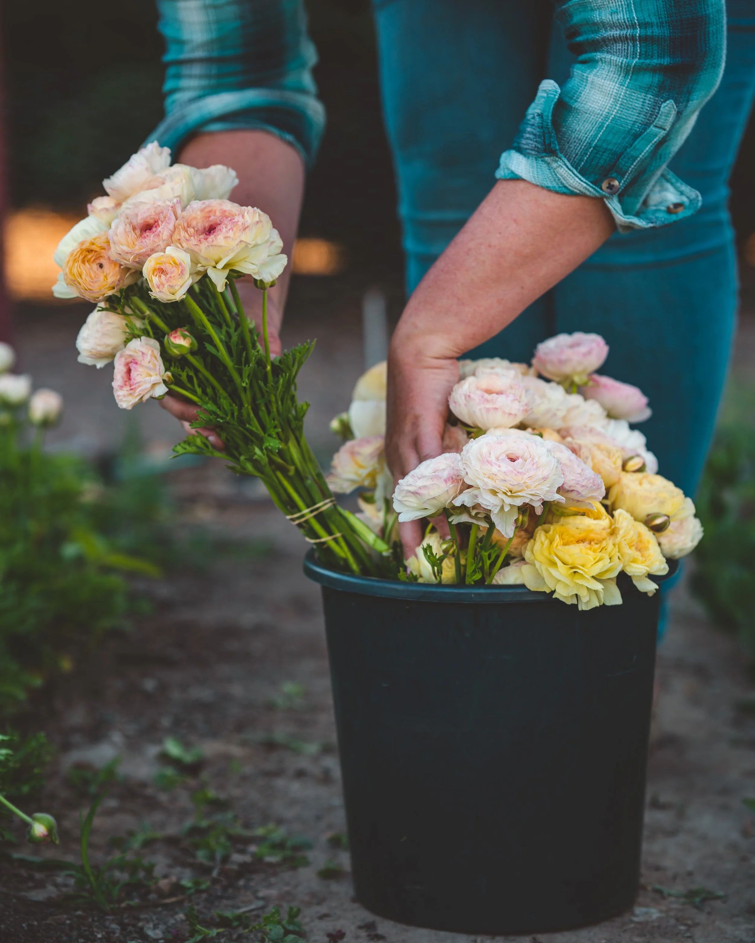 Open Fields and Motorcycles: The story Shelbi & Zach’s Gansberg Ranch ...