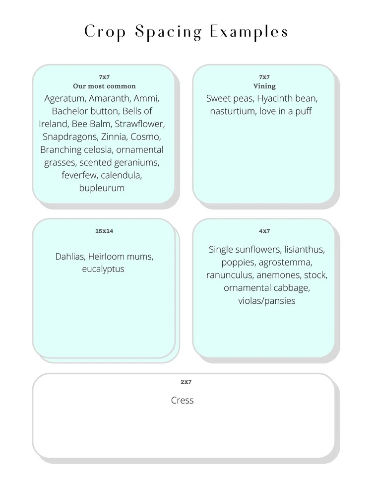Crop planning for the flower farmer — Sierra Flower Farm